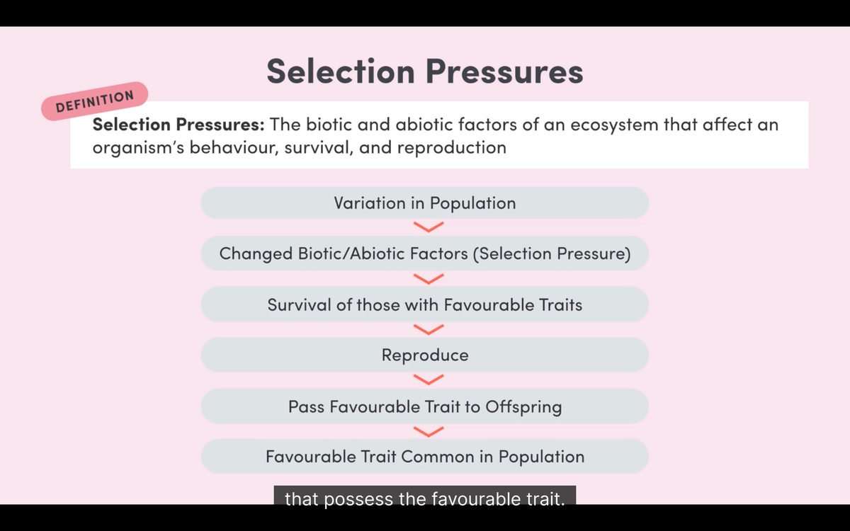 Selection Pressures Atomi SS - Selection Pressures DEFINITION Selection ...