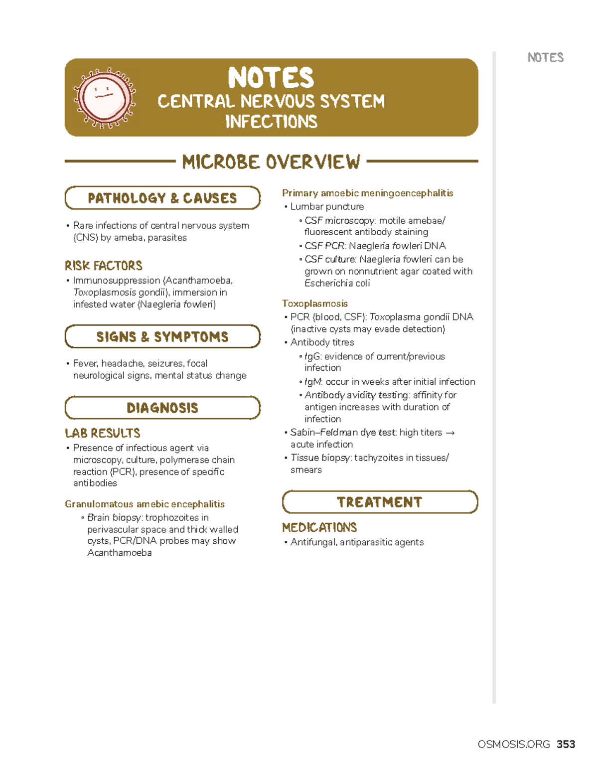 Central nervous system infections - NOTES Rare infections of central ...