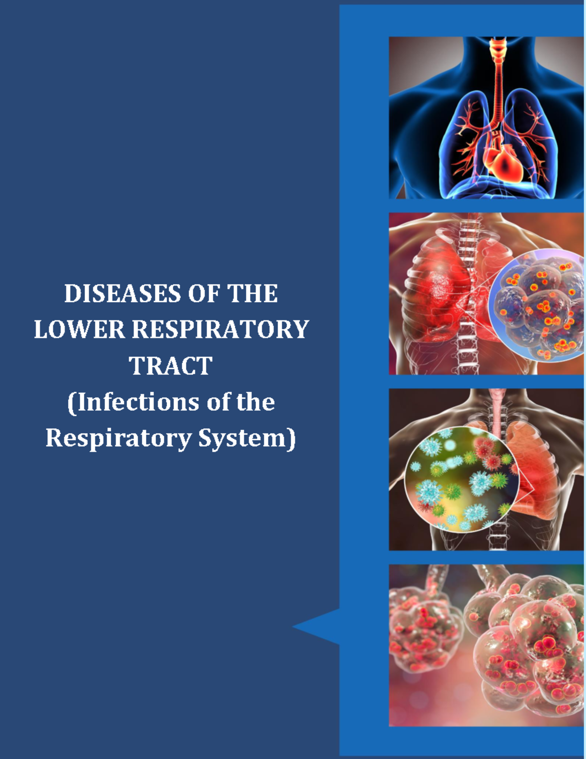 Infection of the Respiratory System - Bachelor of Science in Nursing ...