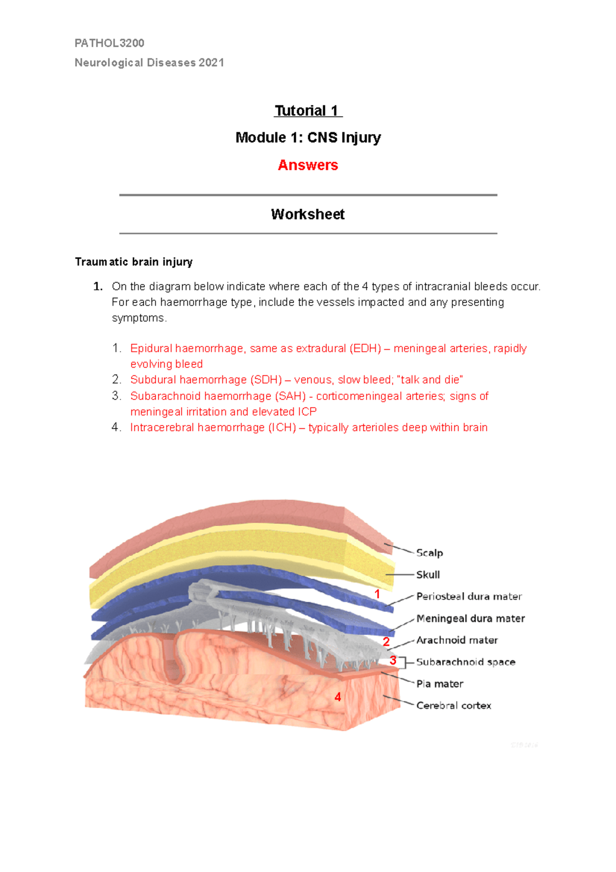 Neurological Diseases Tutorial 1 CNS injury answers FC - Neurological ...