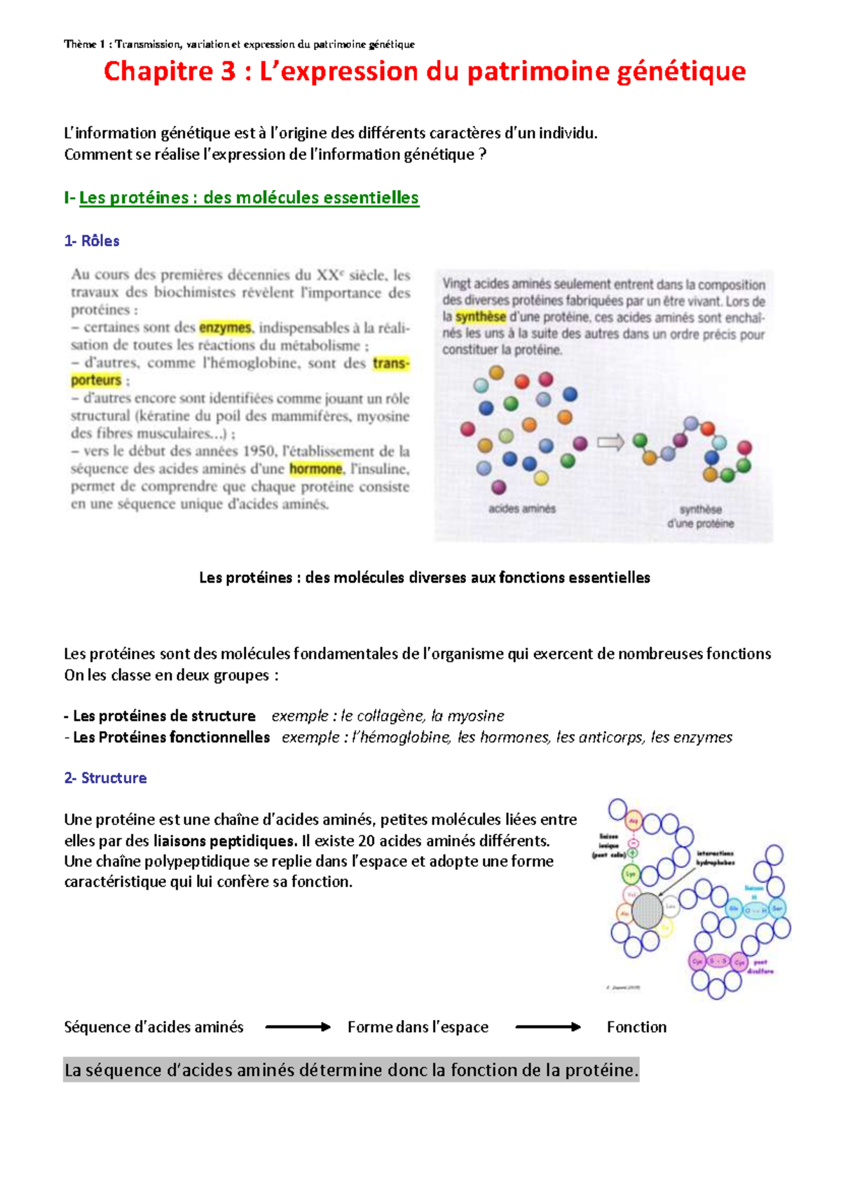 3expression - exercices - Thème 1 : Transmission, variation et expression du patrimoine ...