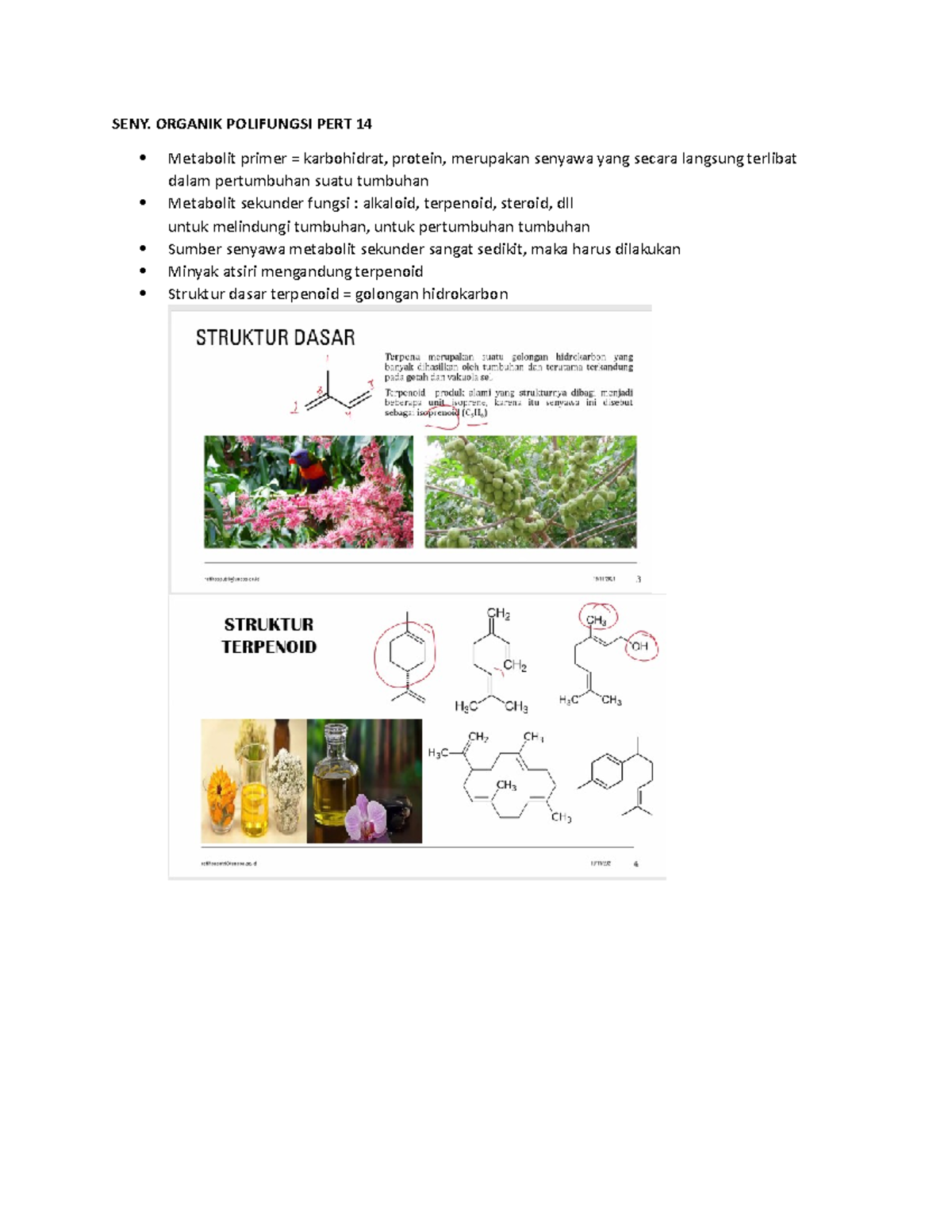 Senyawa Organik Polifungsi PERT 14 - SENY. ORGANIK POLIFUNGSI PERT 14 Metabolit primer = - Studocu