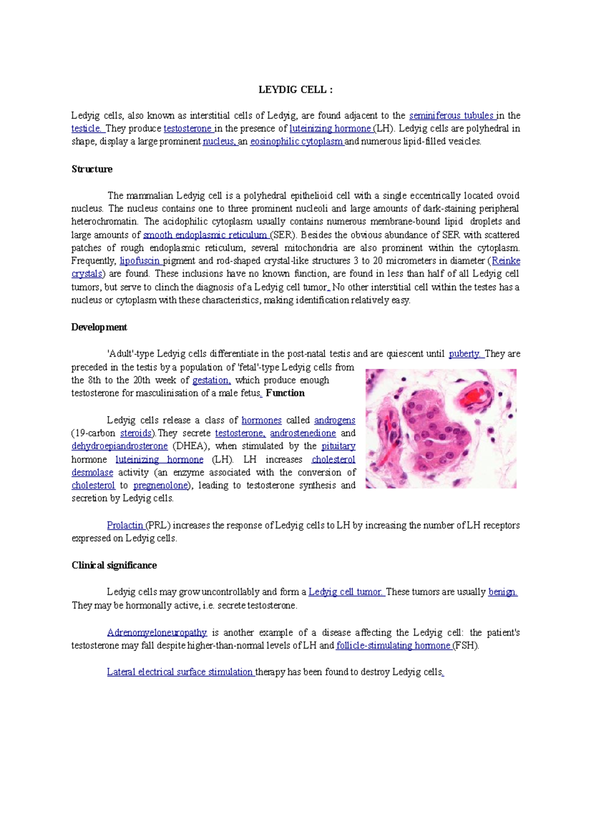 Leydig cell - Lecture notes 1-3 - LEYDIG CELL : Ledyig cells, also ...