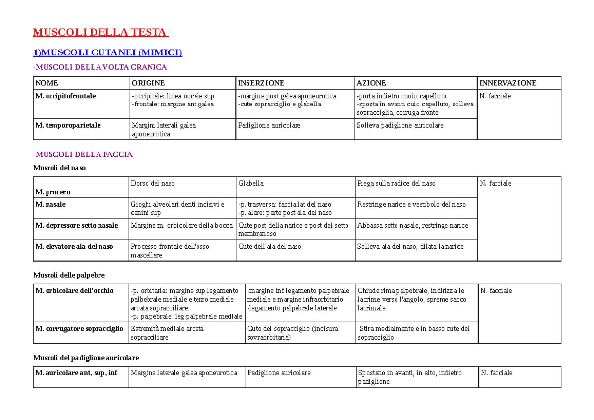 Schema muscoli appunti di anatomia - MUSCOLI DELLA TESTA 1)MUSCOLI ...