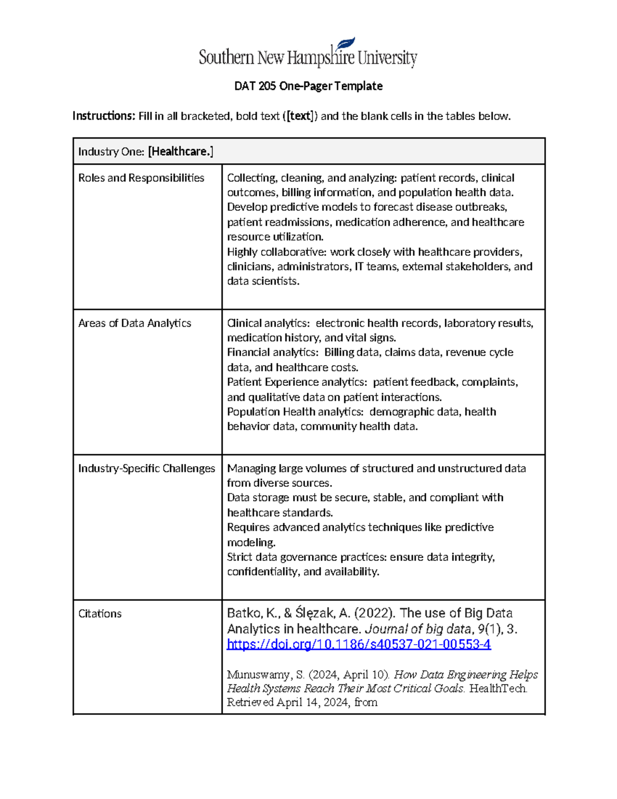 DAT 205 One-Pager Template - DAT 205 One-Pager Template Instructions ...