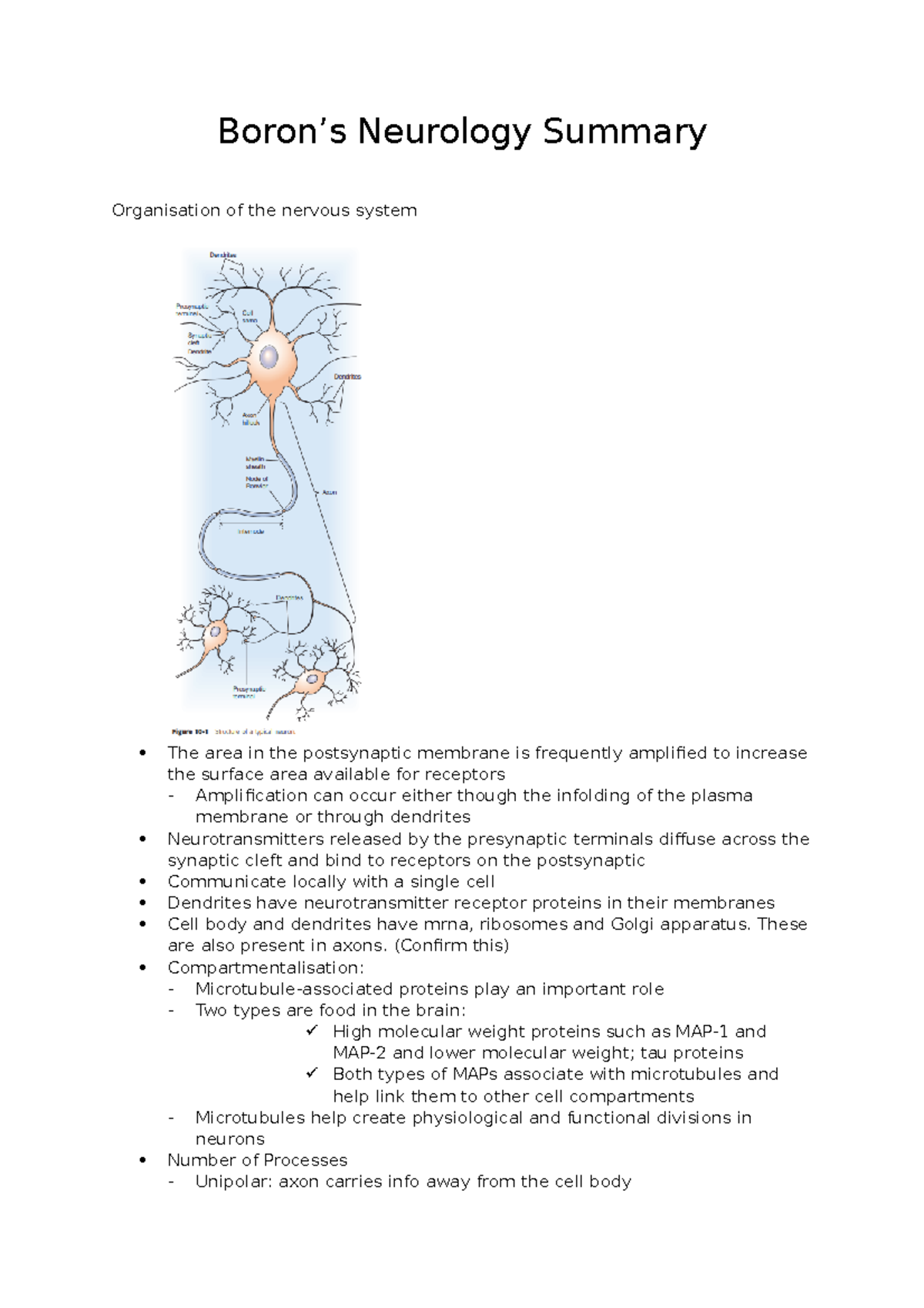 Boron - neurology notes - Boron’s Neurology Summary Organisation of the ...