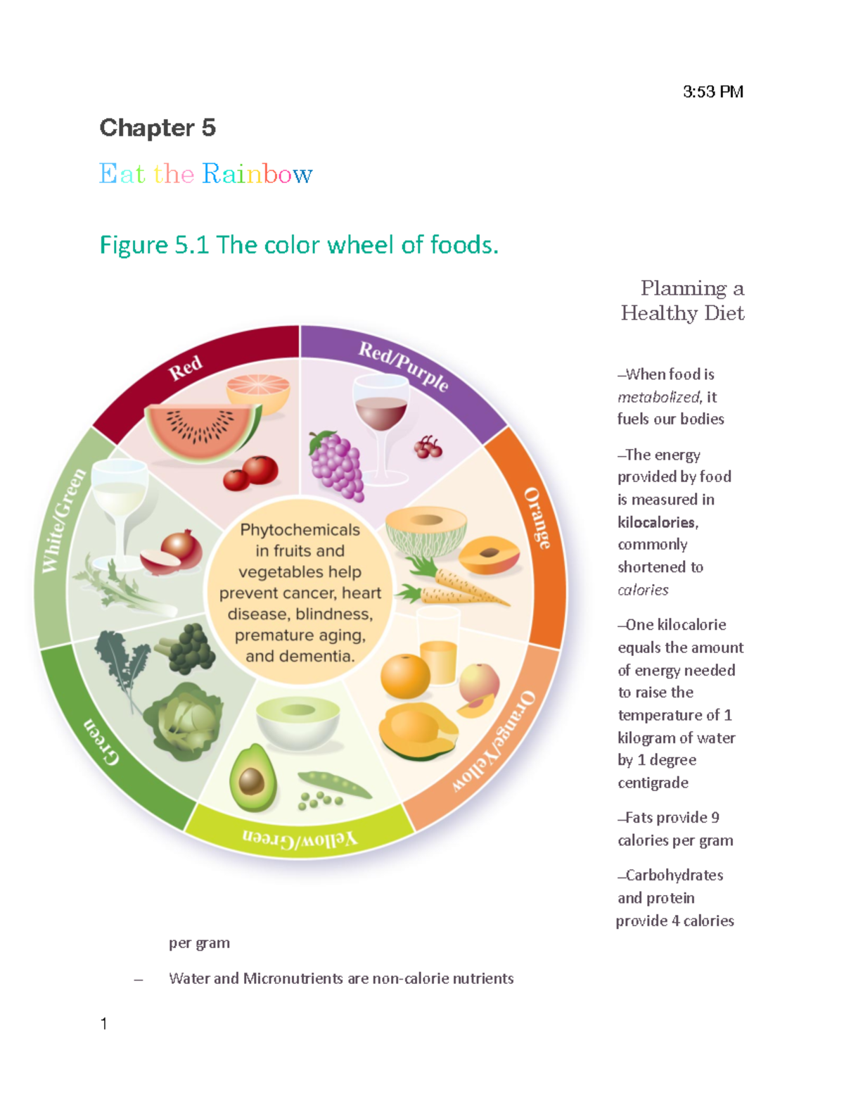 Soc-12 chapter 5 pt3 - notes - Chapter 5 Eat the Rainbow Figure 5 The ...