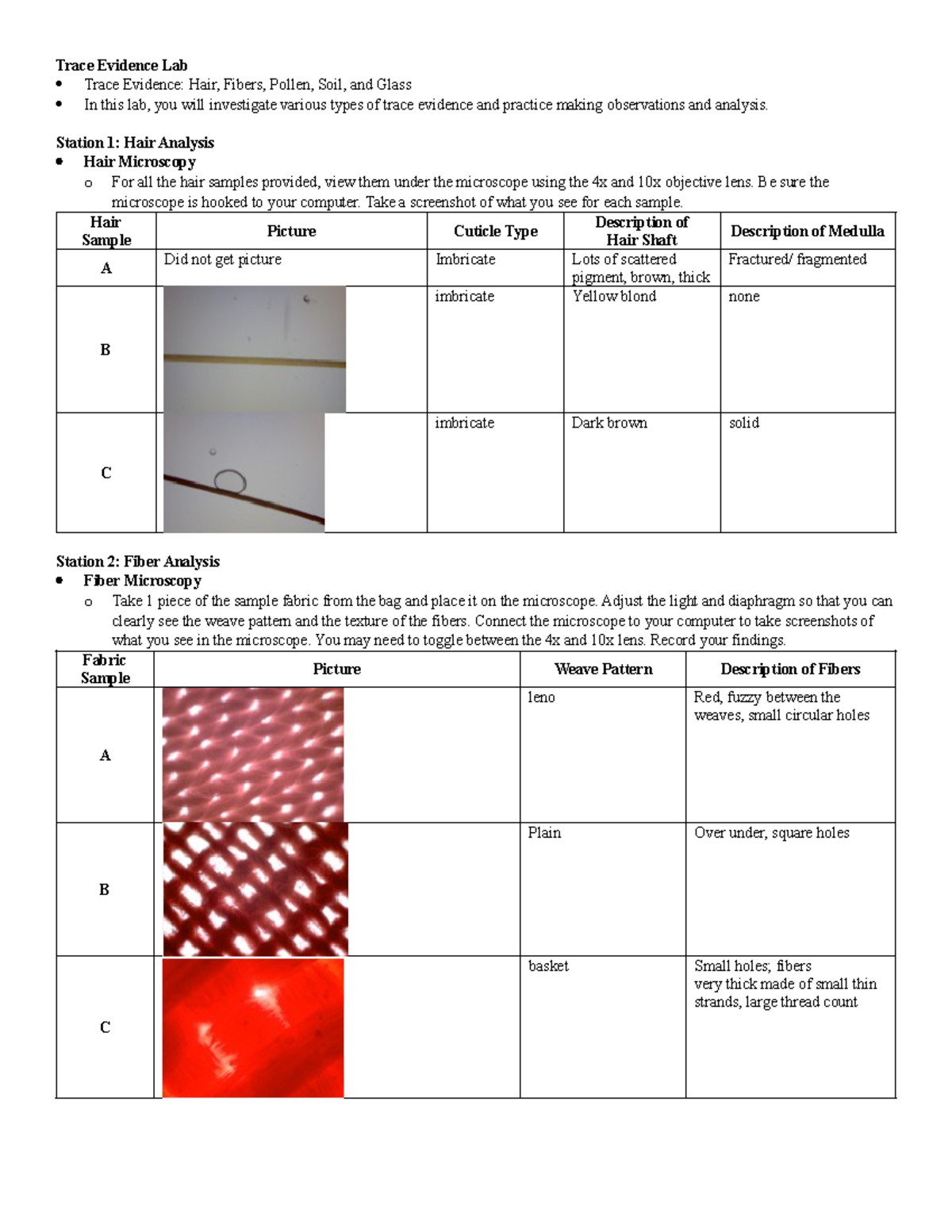 LAB-Trace+Evidence+Lab - Trace Evidence Lab Trace Evidence: Hair ...