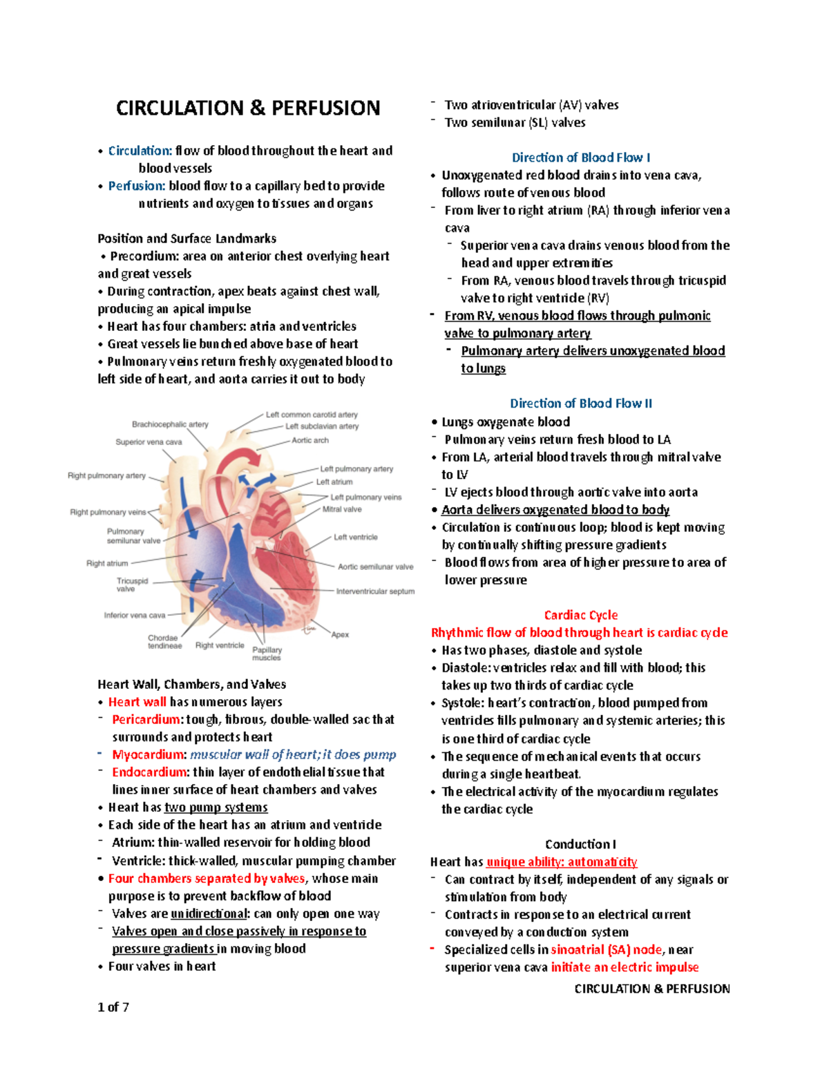 Circulation - CIRCULATION & PERFUSION Circula6on: flow of blood ...