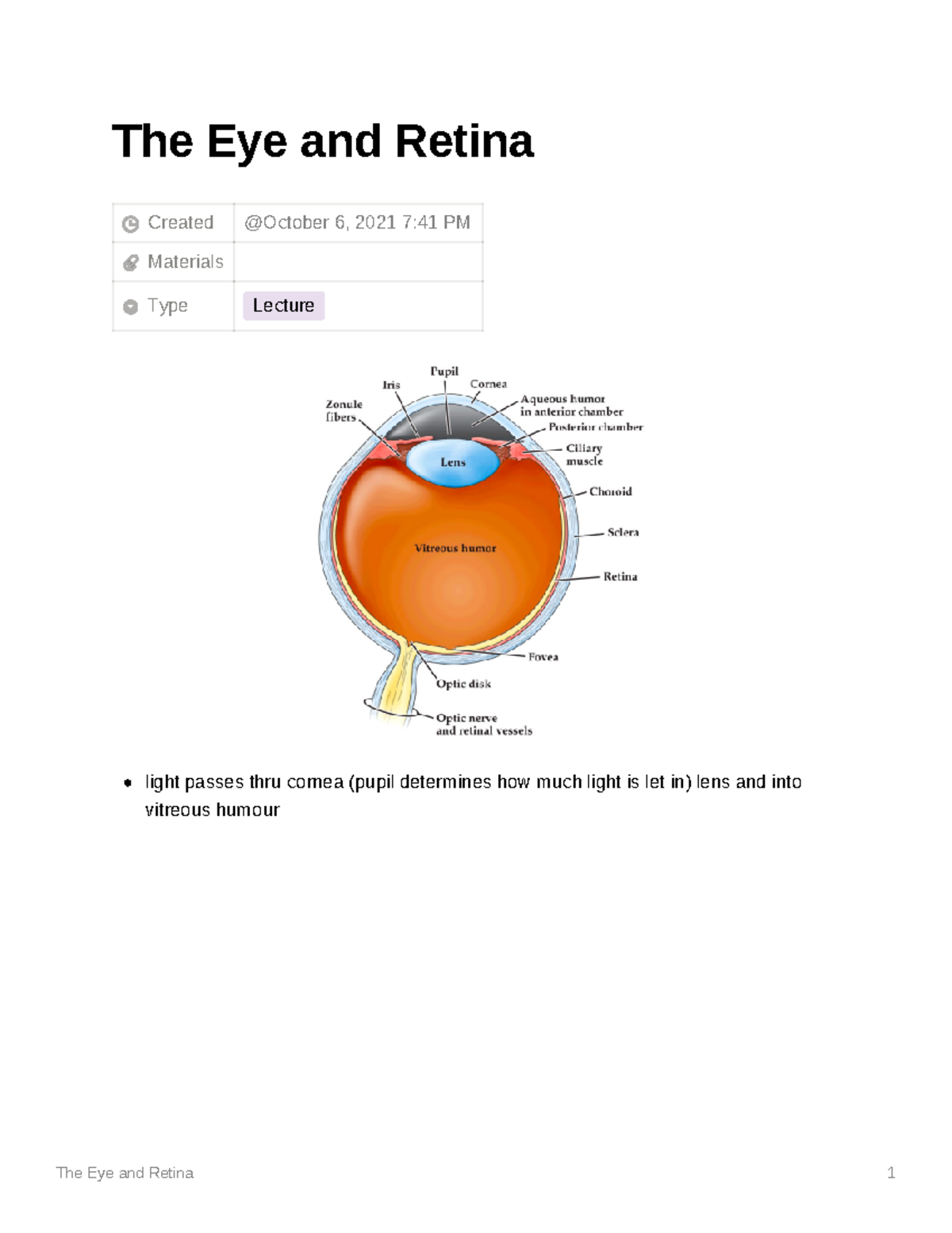 The Eye and Retina - Lecture notes 5 - The Eye and Retina Created ...