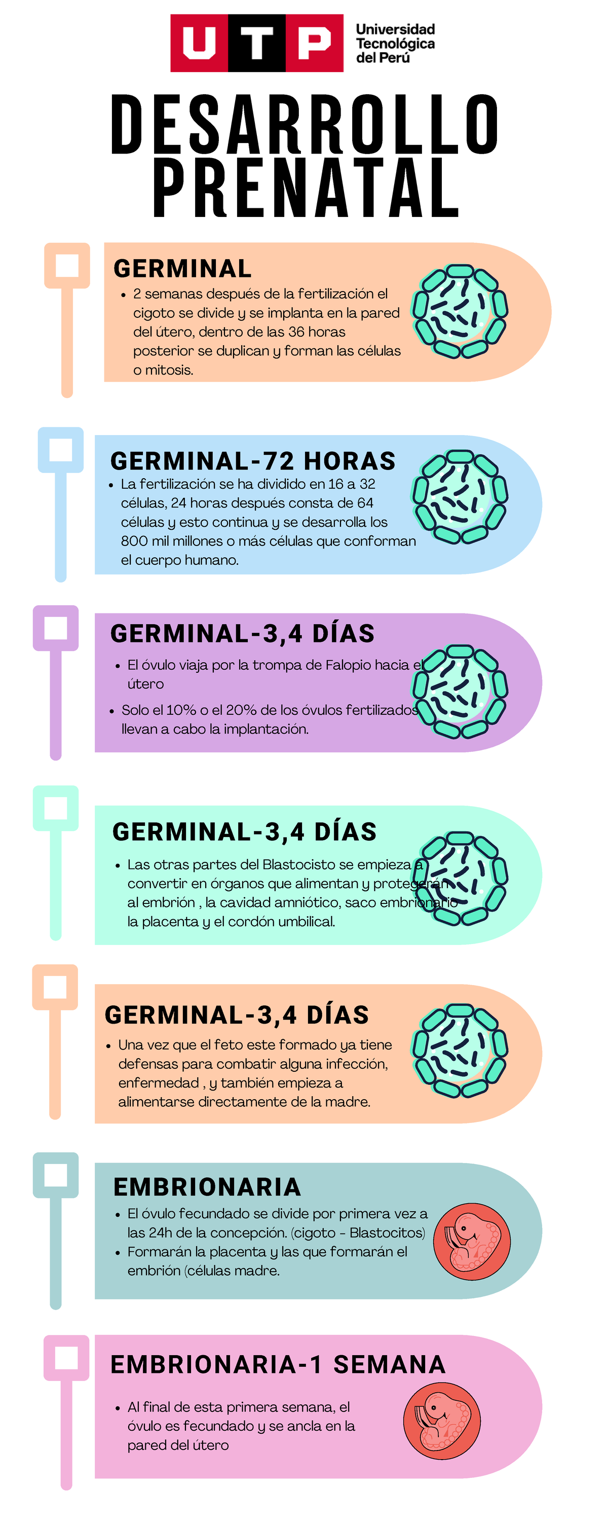 White Colorful Modern Timeline Design Process Infographic - GERMINAL ...