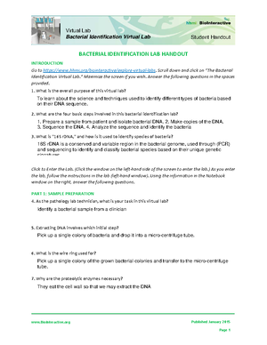 [Solved] Final Analysis There are three mutations you explored in this ...