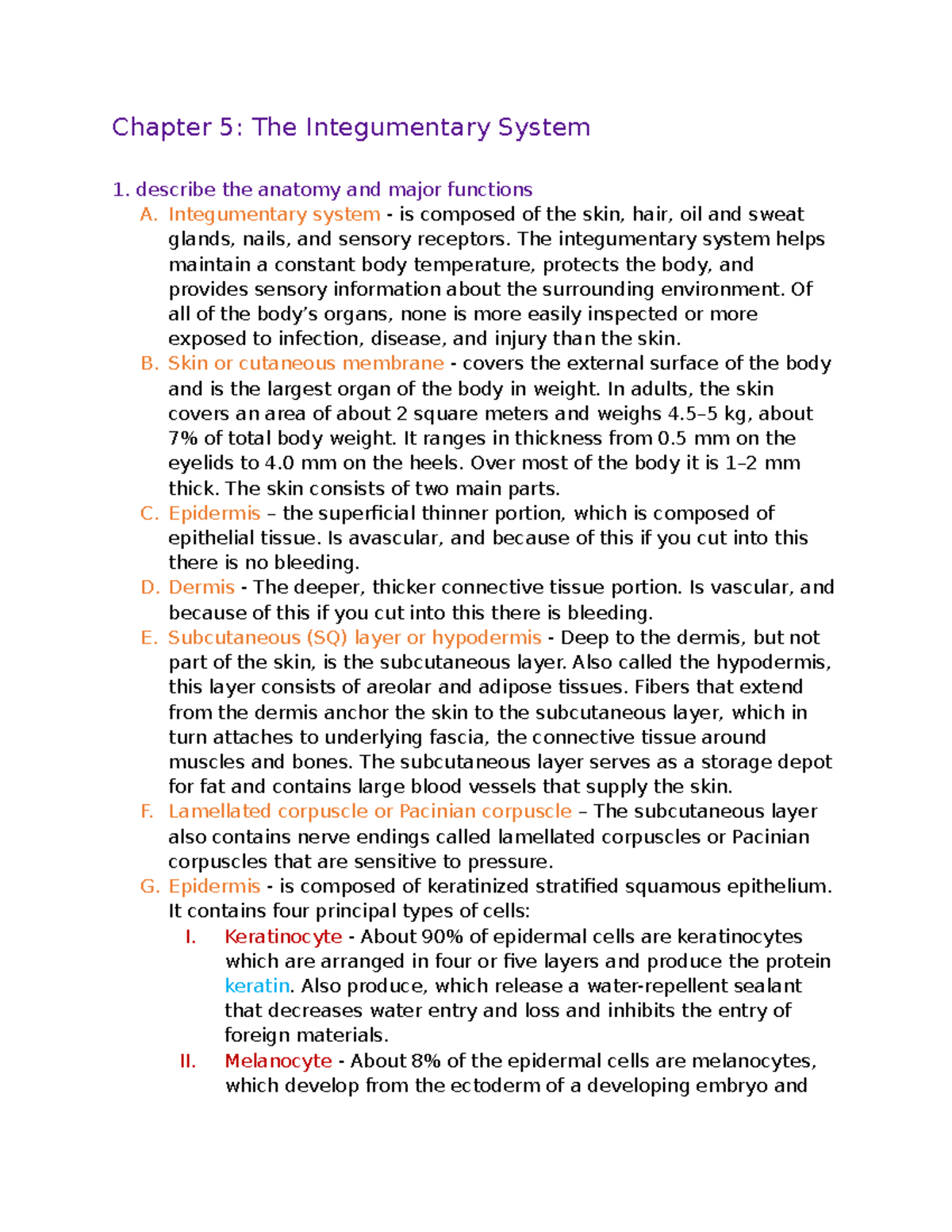 Chapter 5 notes - Chapter 5: The Integumentary System describe the ...