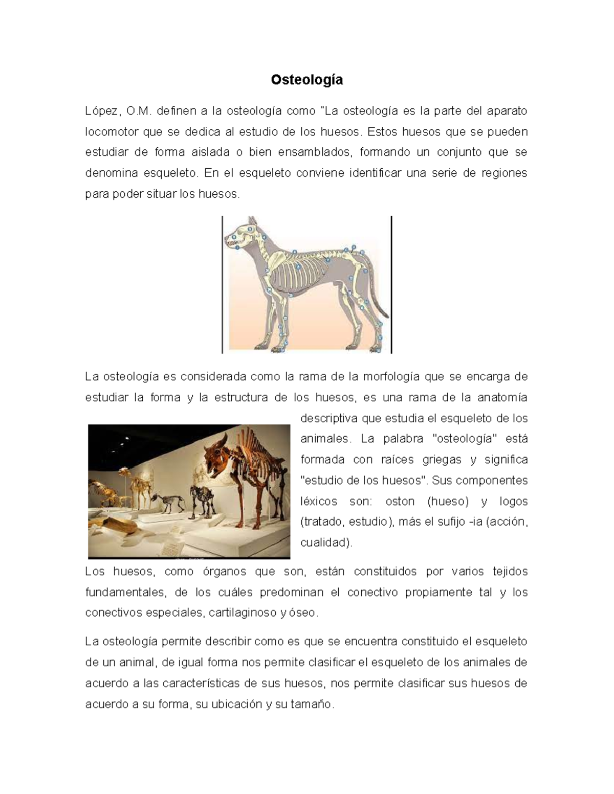 Osteología - Osteología López, O. definen a la osteología como “La ...
