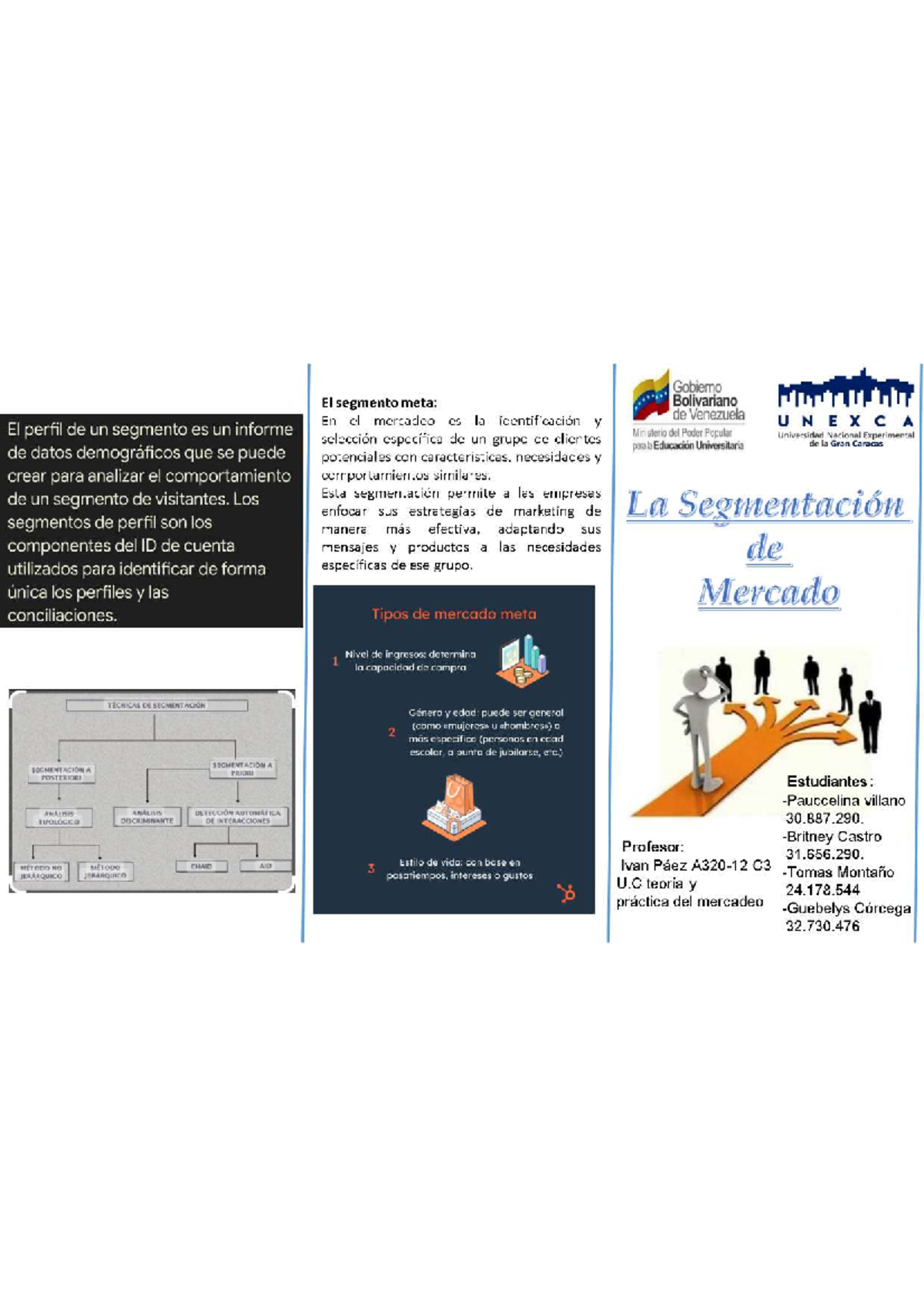 Triptico cara 1 - comercio litererio - Gobierno El segmento meta: Bolivariano El perfil de un ...