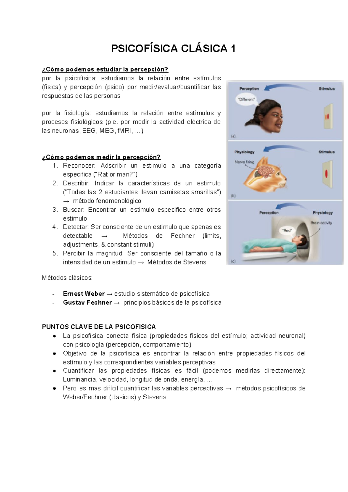 Psicofísica Clásica 1 - Resumen Percepció I Atenció - PSICOFÍSICA ...