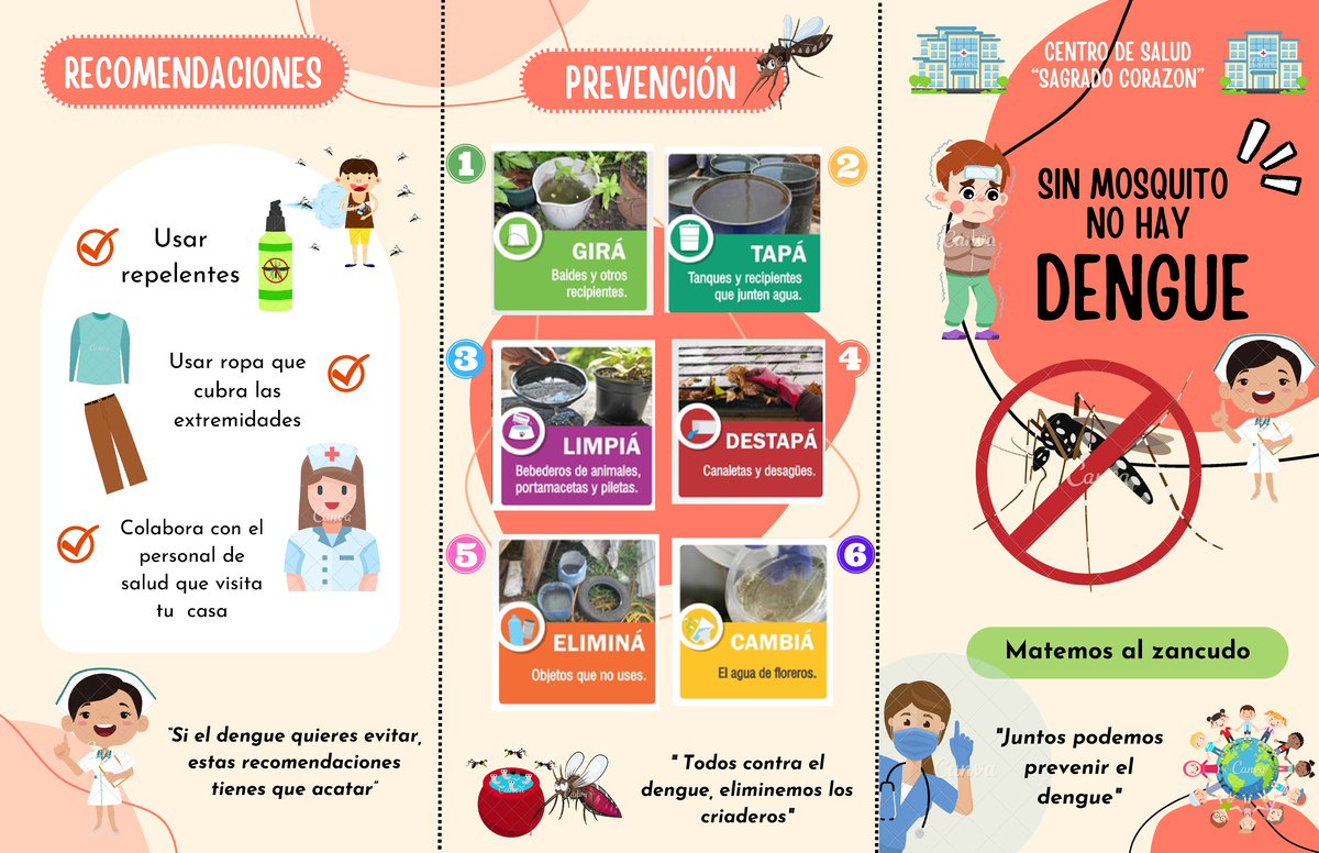 Triptico- Dengue - CENTRO DE SALUD “SAGRADO CORAZON” Usar repelentes ...