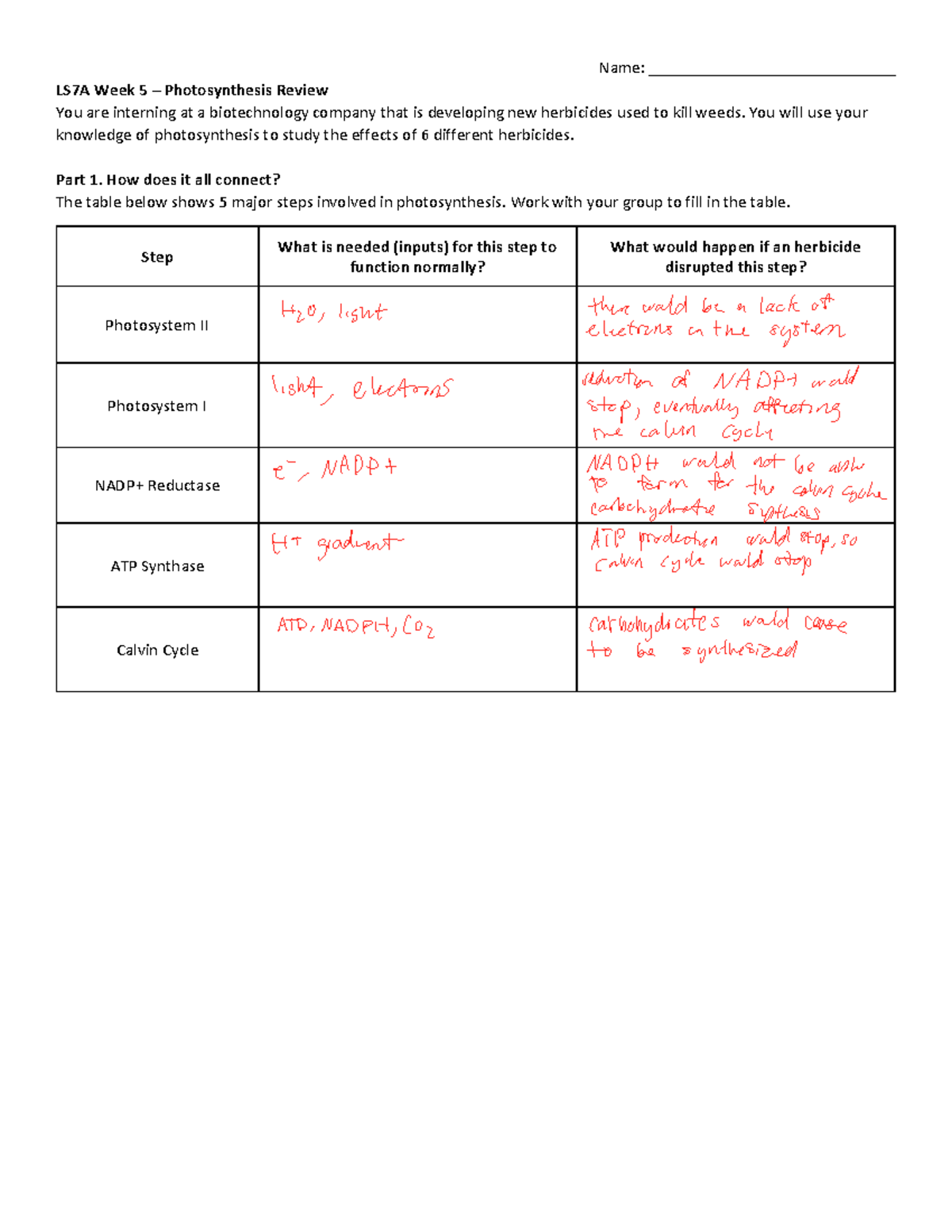 Week 5 Photosynthesis Review Worksheet W22-3 - Name ...