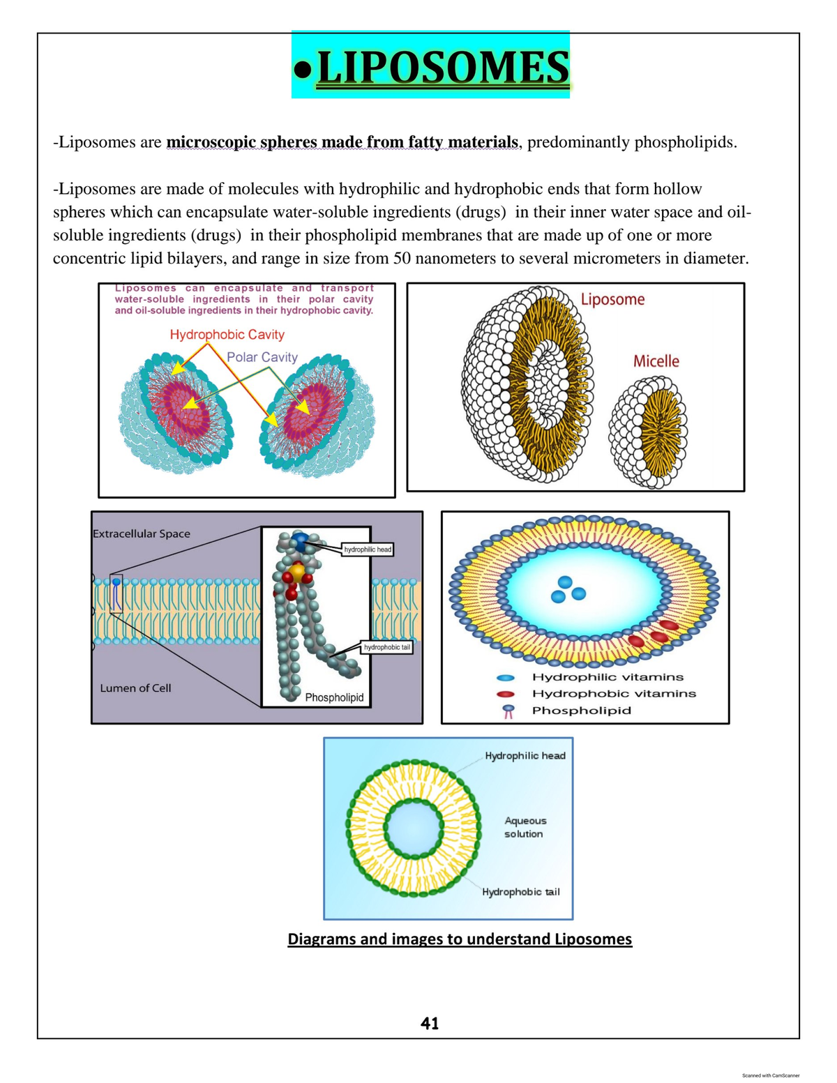 Liposom unit 4 Notes - Bachelor of pharmacy - Studocu