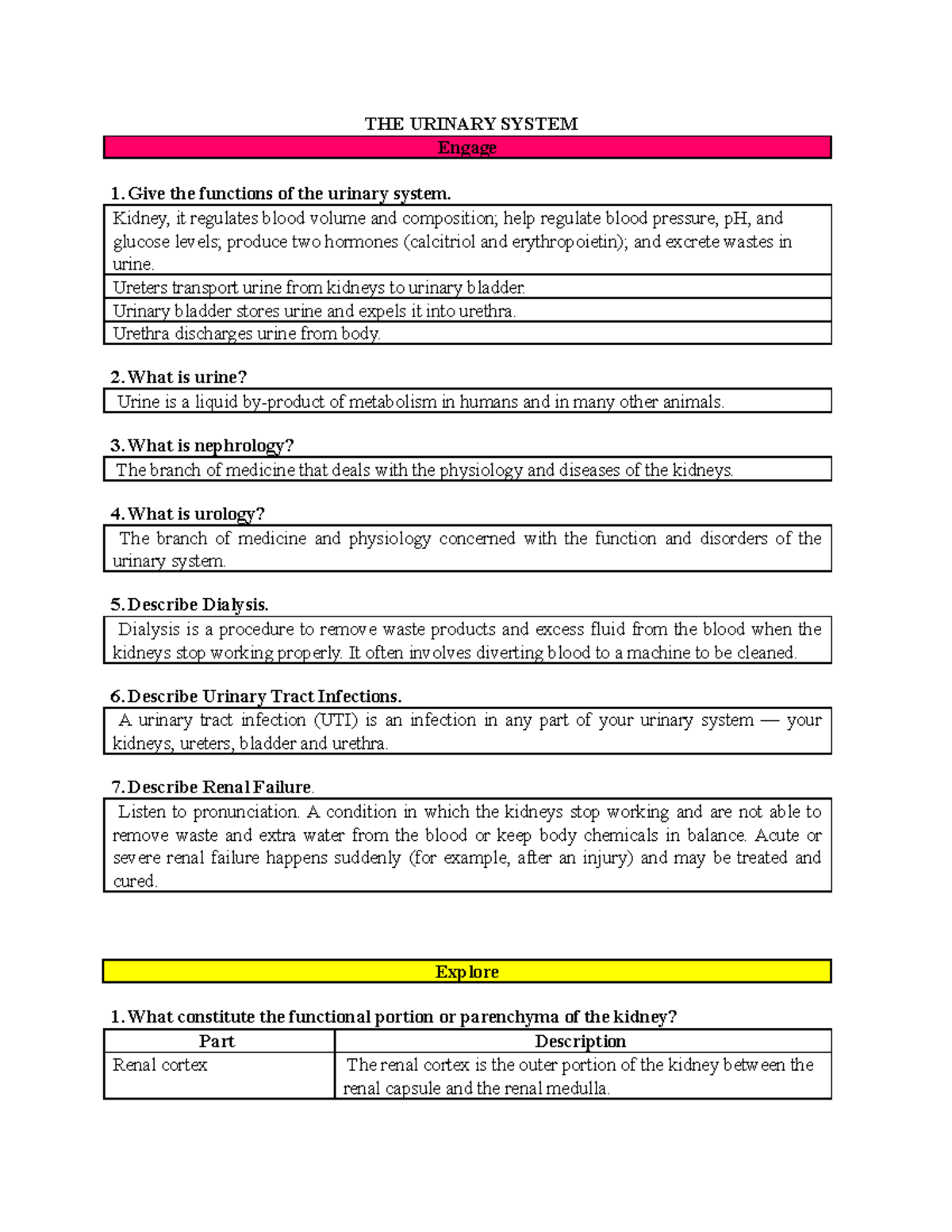 Module 12- Urinary System - Dentistry - UBian - Studocu
