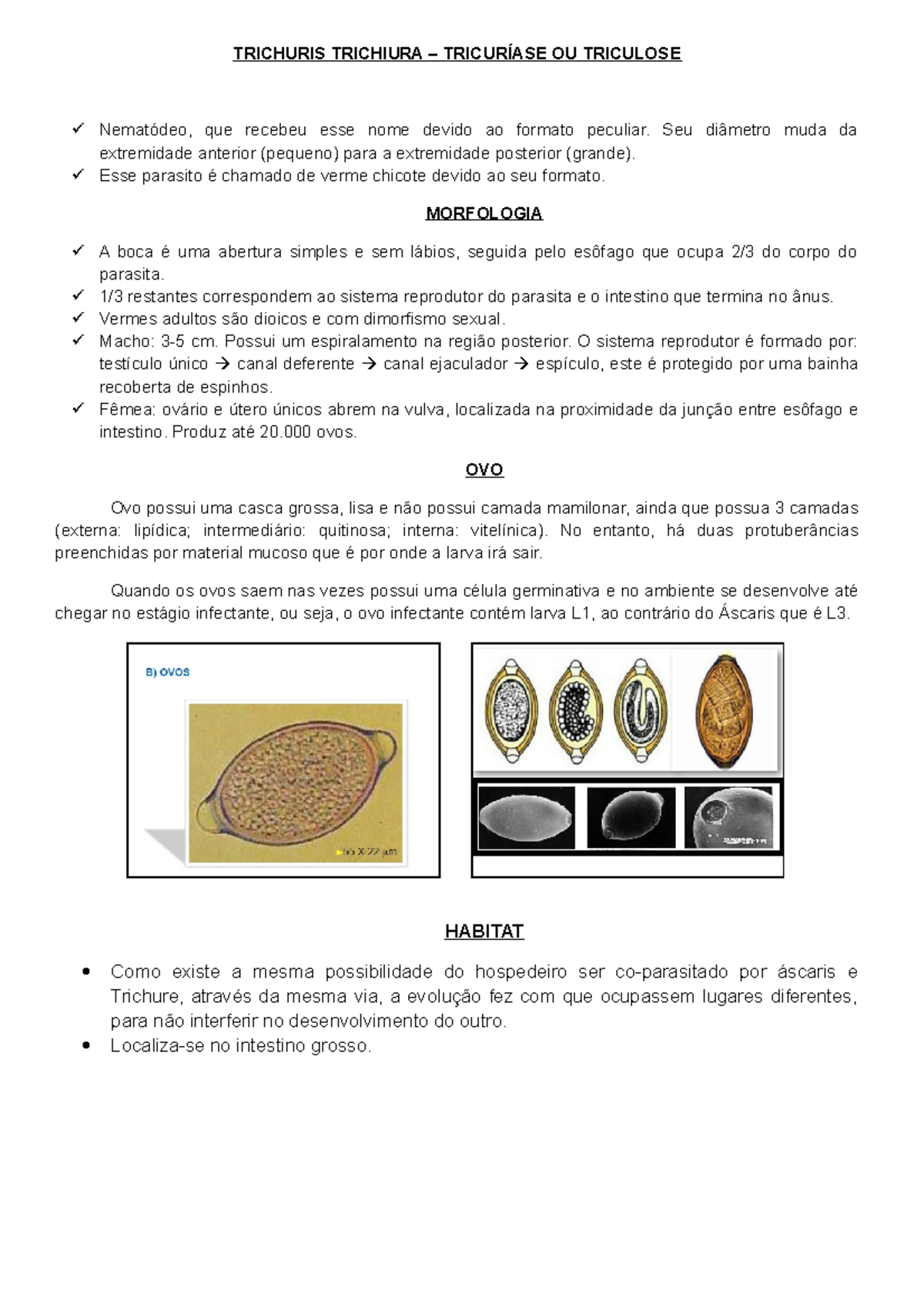 Trichuris Trichiura - TRICHURIS TRICHIURA – TRICURÍASE OU TRICULOSE ...