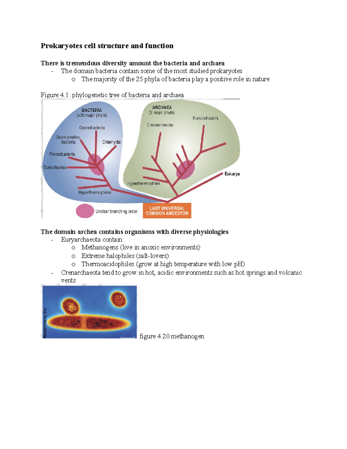 Biology lesson 4 (prokaryotic cells and more) - Prokaryotes cell ...