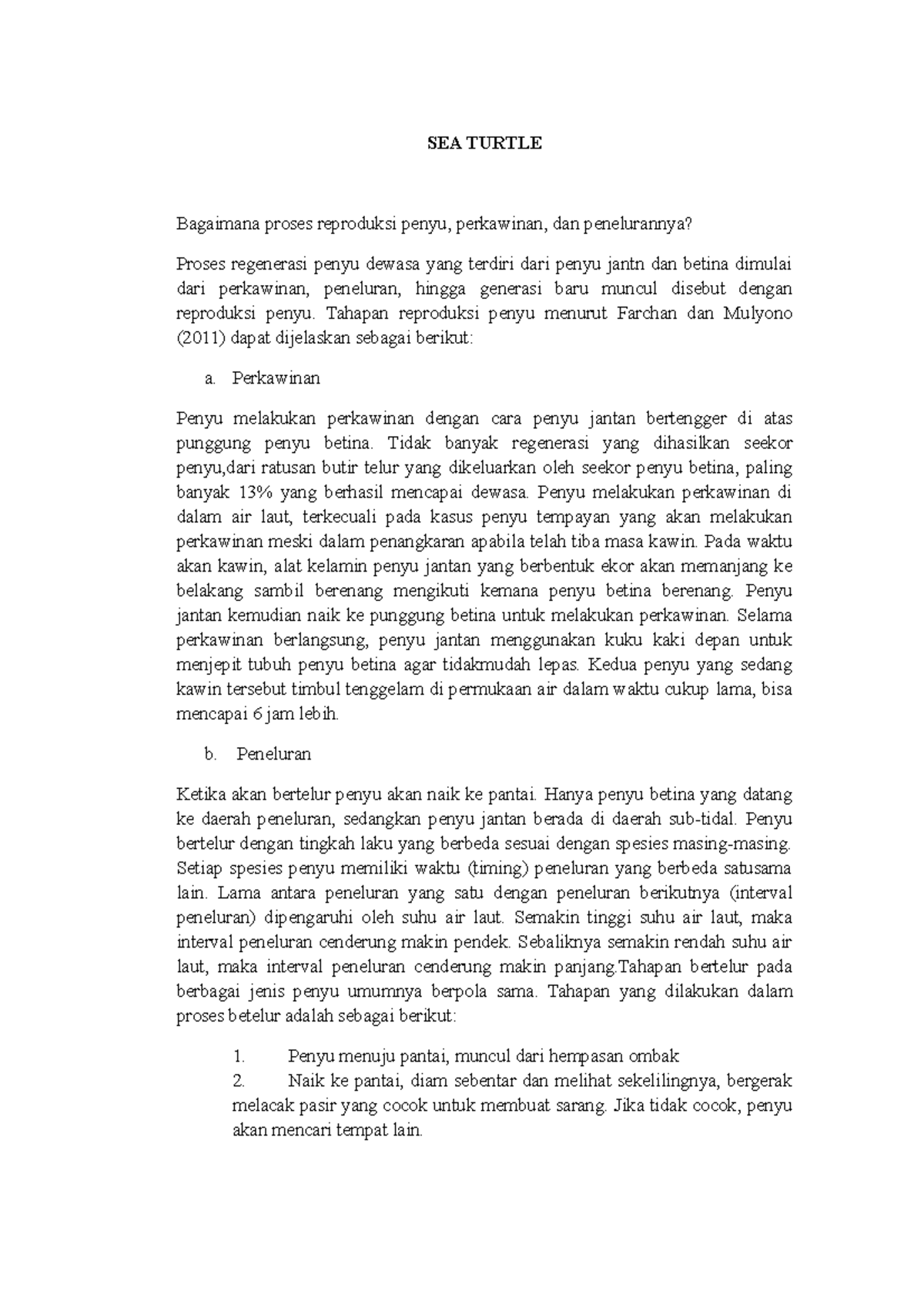 Sea Turtle - SEA TURTLE Bagaimana proses reproduksi penyu, perkawinan ...