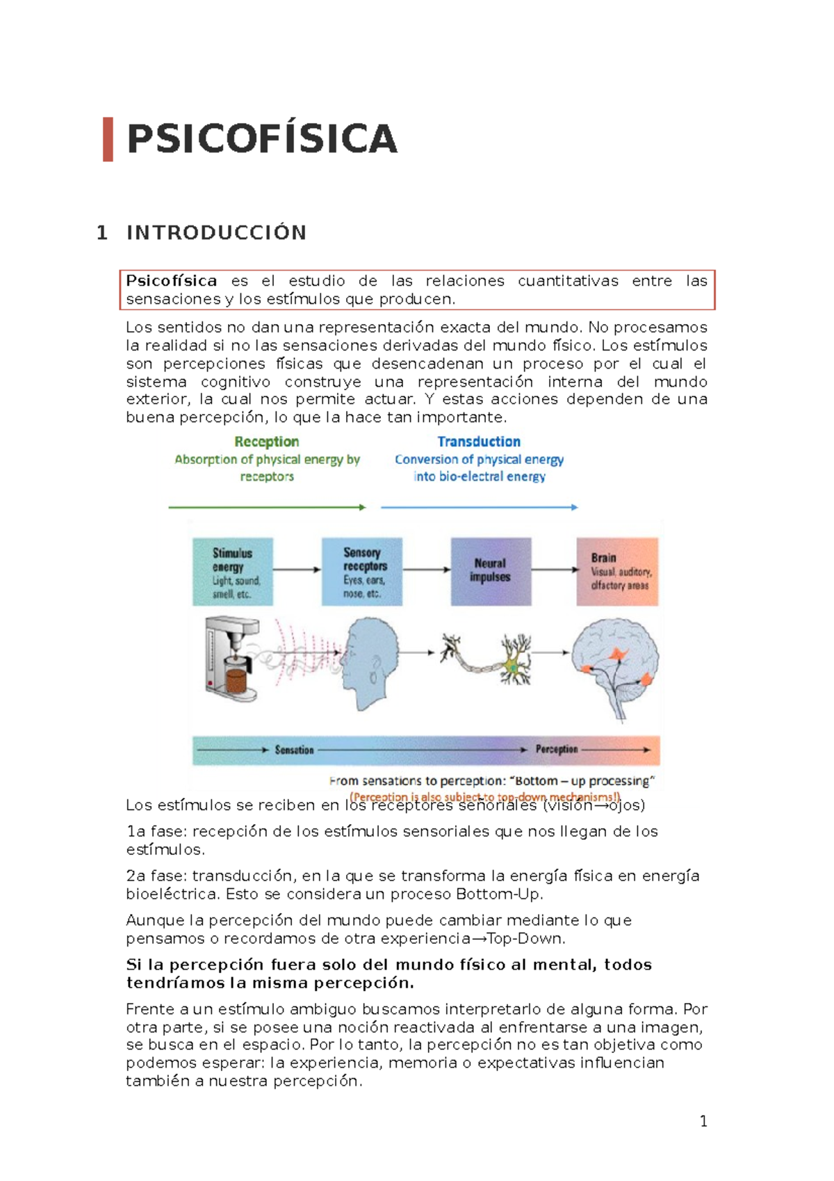 T1-Psicofísica - PSICOFÍSICA 1 INTRODUCCIÓN Psicofísica es el estudio ...