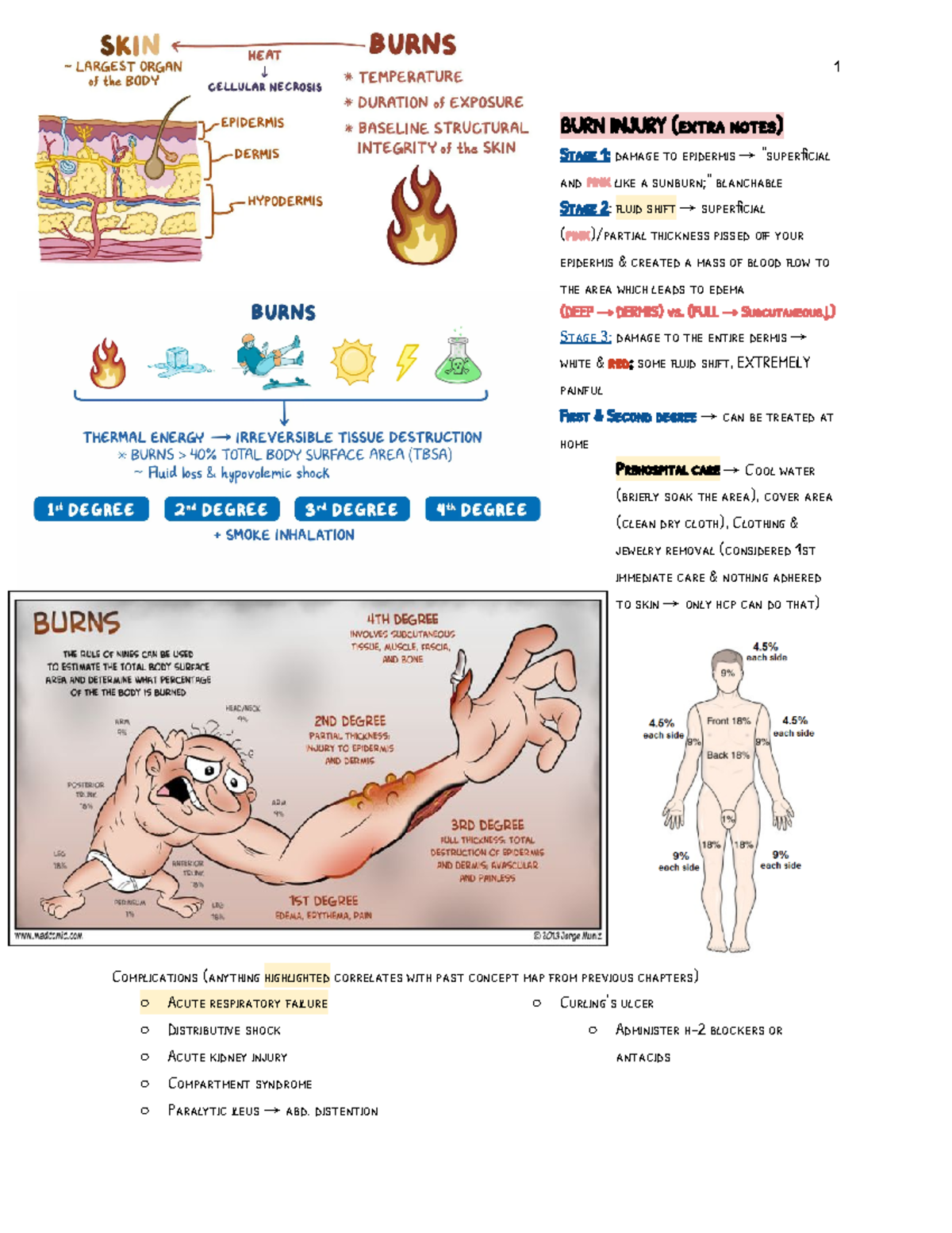 Med Surgll Miscellanous Notes for Final - BURN INJURY (extra notes ...