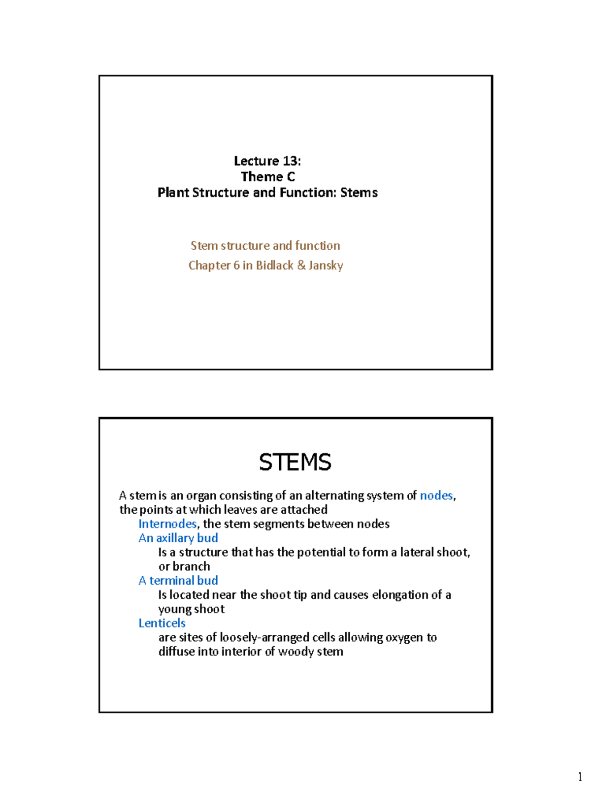 Lecture 9 Stems - Lecture 13: Theme C Plant Structure and Function ...