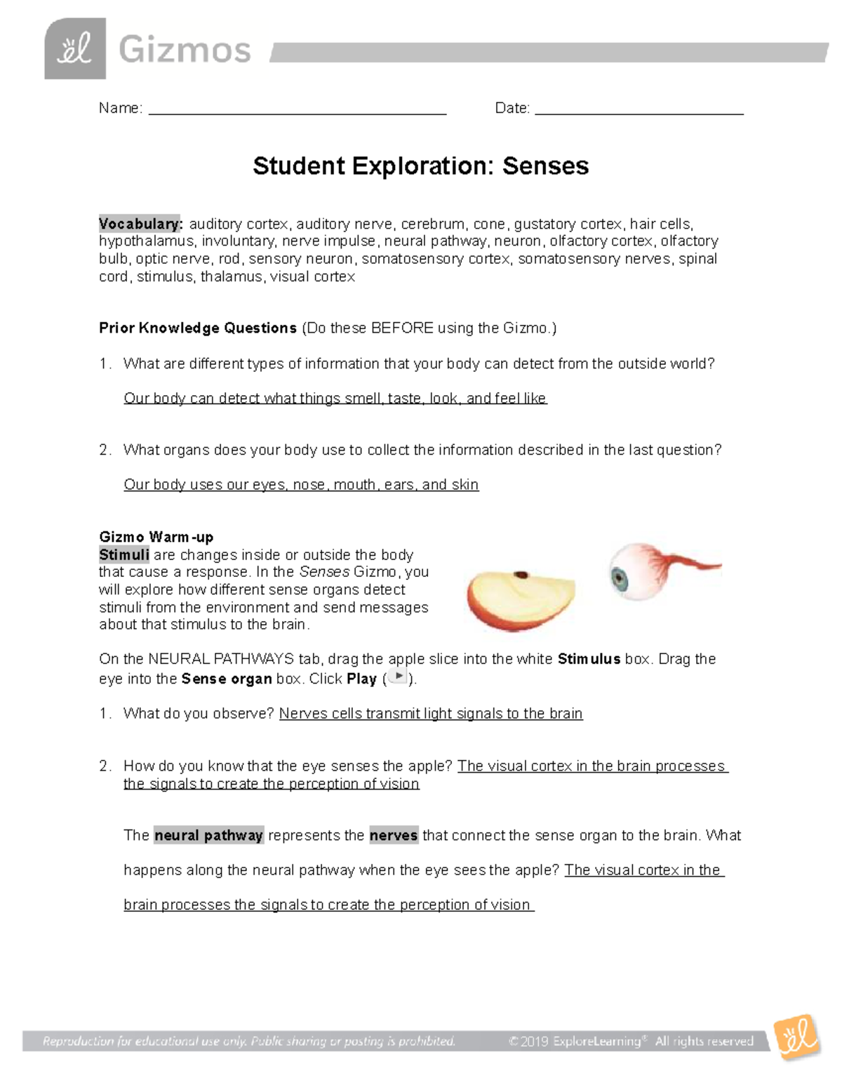 Senses Gizmo Gizomo Worksheet Name Date Student Exploration senses-gizmo-gizomo-worksheet-name-date-student-exploration