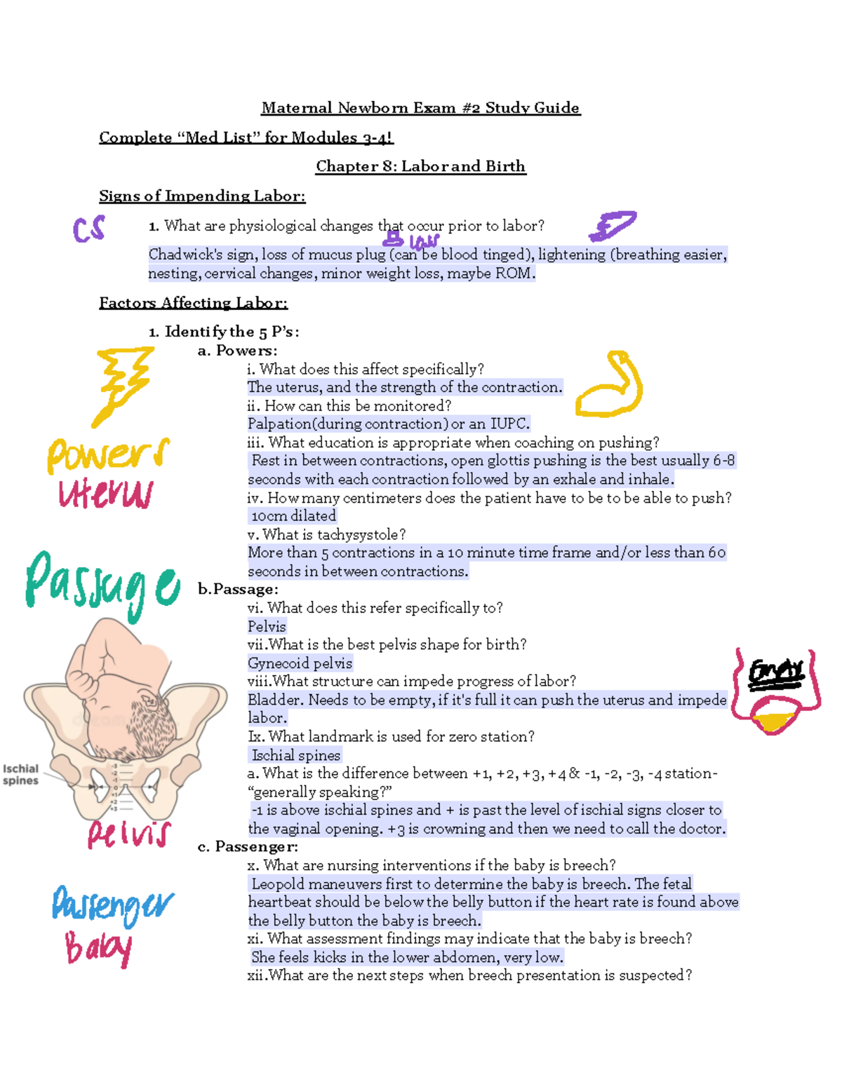 335 Exam #2 Study Guide - Maternal Newborn Exam # 2 Study Guide ...