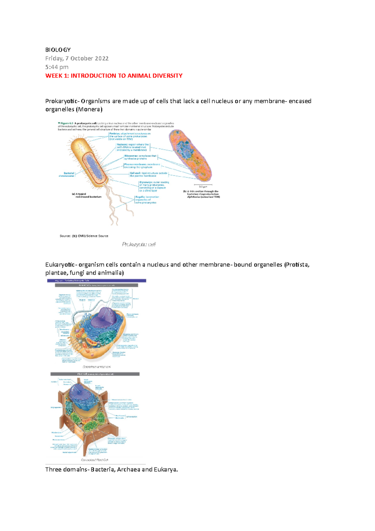 SLE132 Biology form and function - BIOLOGY Friday, 7 October 2022 5:44 ...