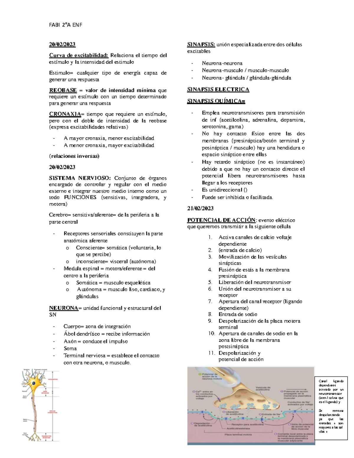 Guía fisio - 20/02/ Curva de excitabilidad: Relaciona el tiempo del ...