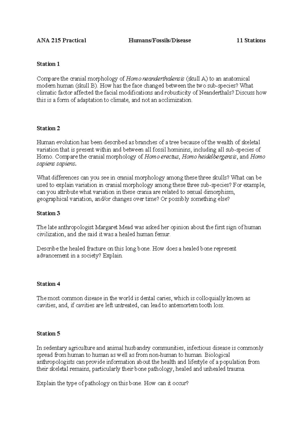ANA 215 Practical Humans Fossils Disease - How has the face changed ...