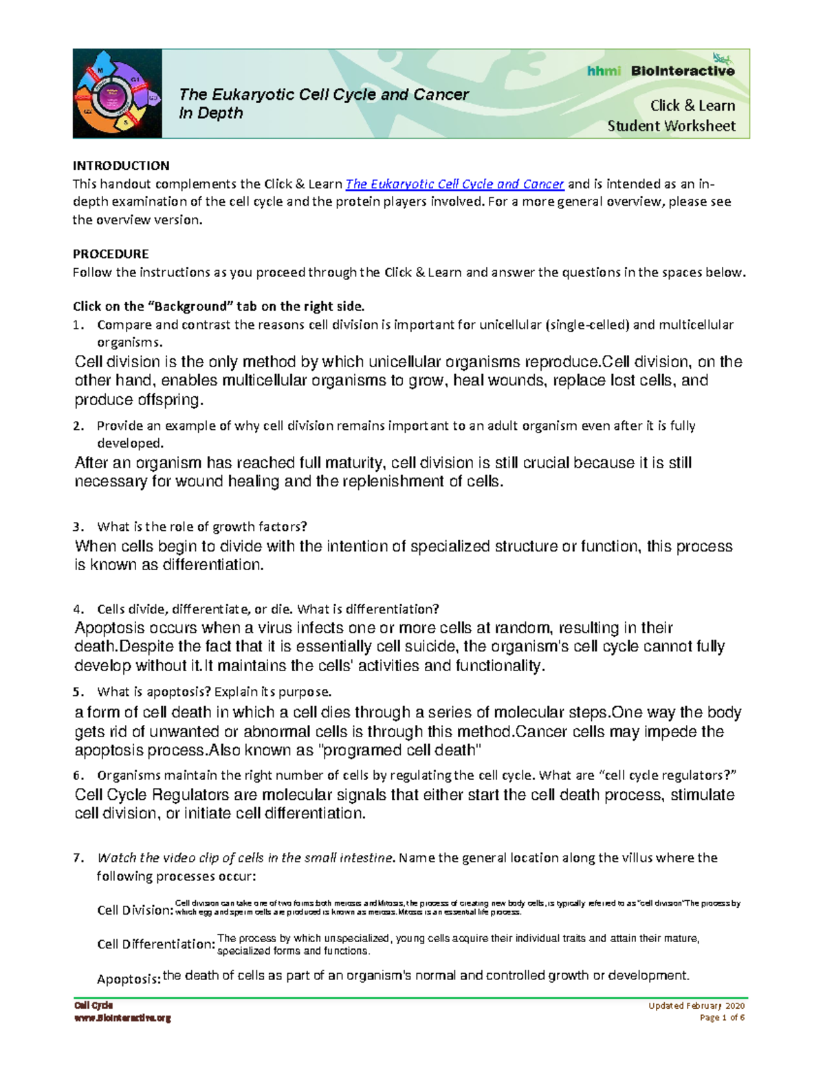 Lab Activity on Cell Cycle In Depth-Student WS-CL - Click & Learn ...