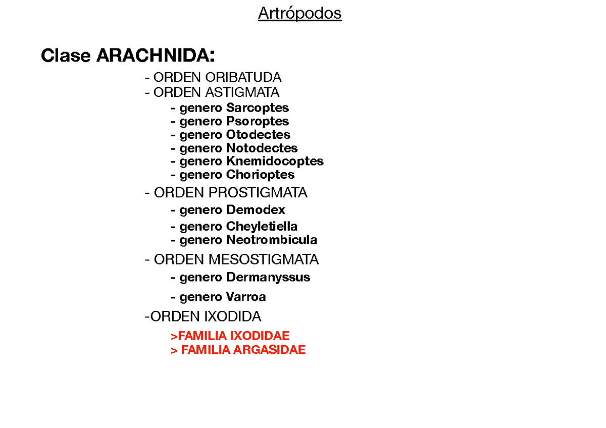 Parasitologia imagenes - Clase ARACHNIDA : ORDEN ORIBATUDA ORDEN ...