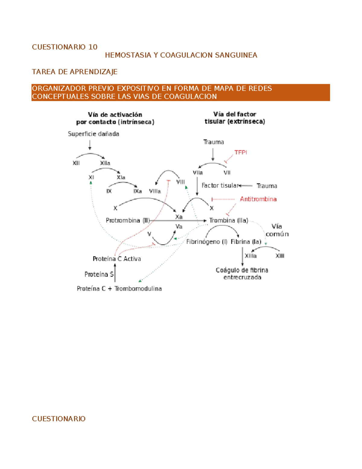 Cuestionario 10 Fisiologia Sandra Pabon - CUESTIONARIO 10 HEMOSTASIA Y ...