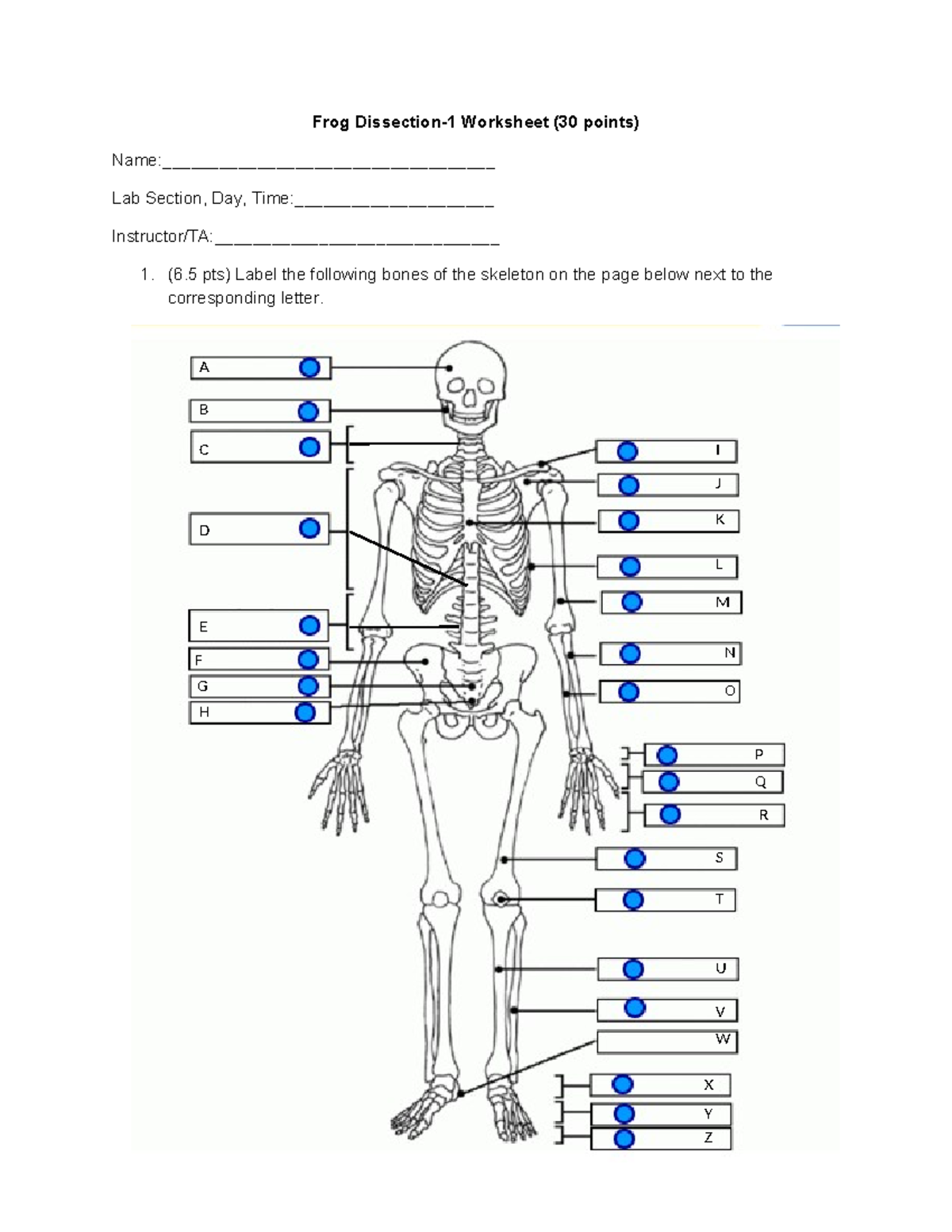 Lab 6 Worksheet - lab - Frog Dissection-1 Worksheet (30 points) - Studocu