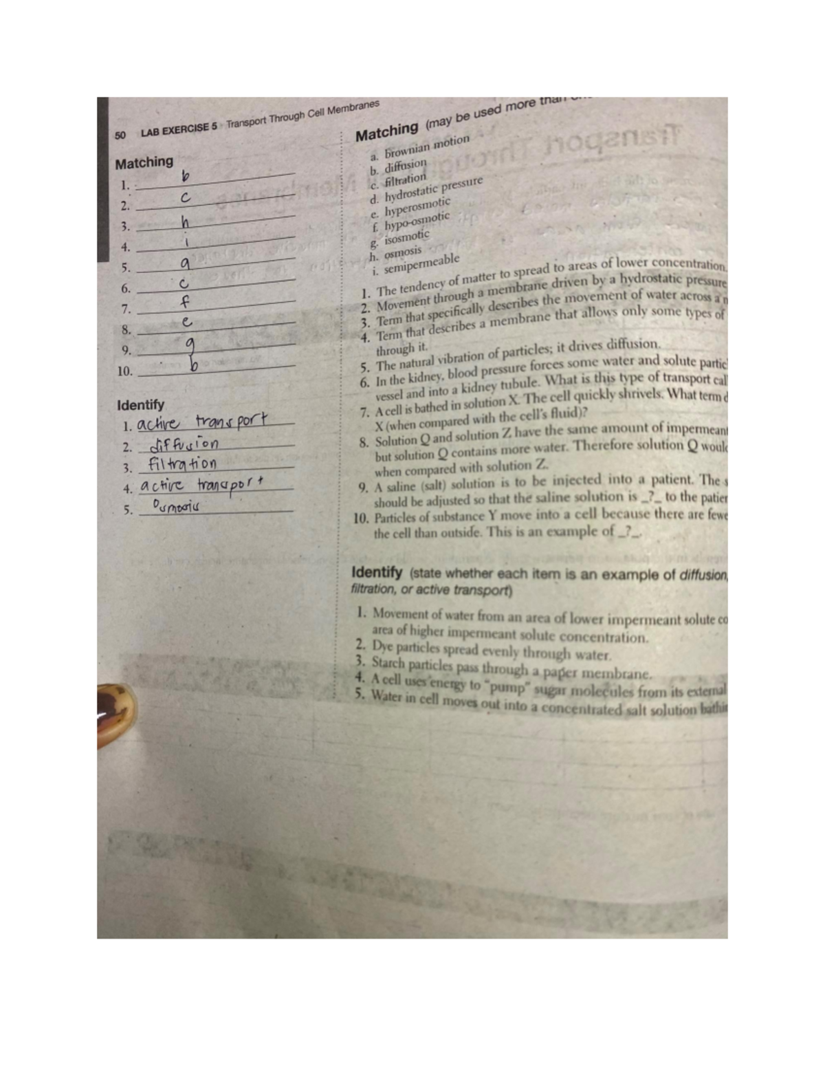 LAB Worksheet 2 - Medical Technology - Studocu