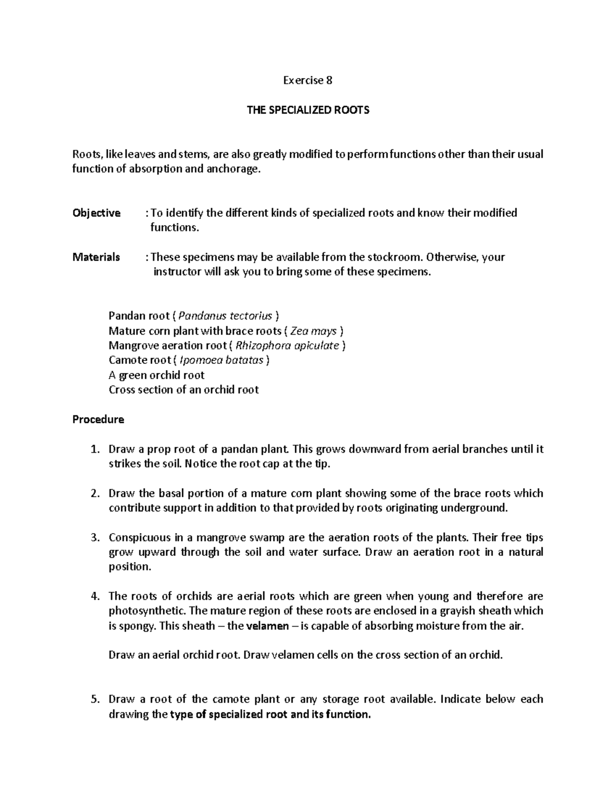 Exercise 8 THE Specialized Roots - Exercise 8 THE SPECIALIZED ROOTS ...