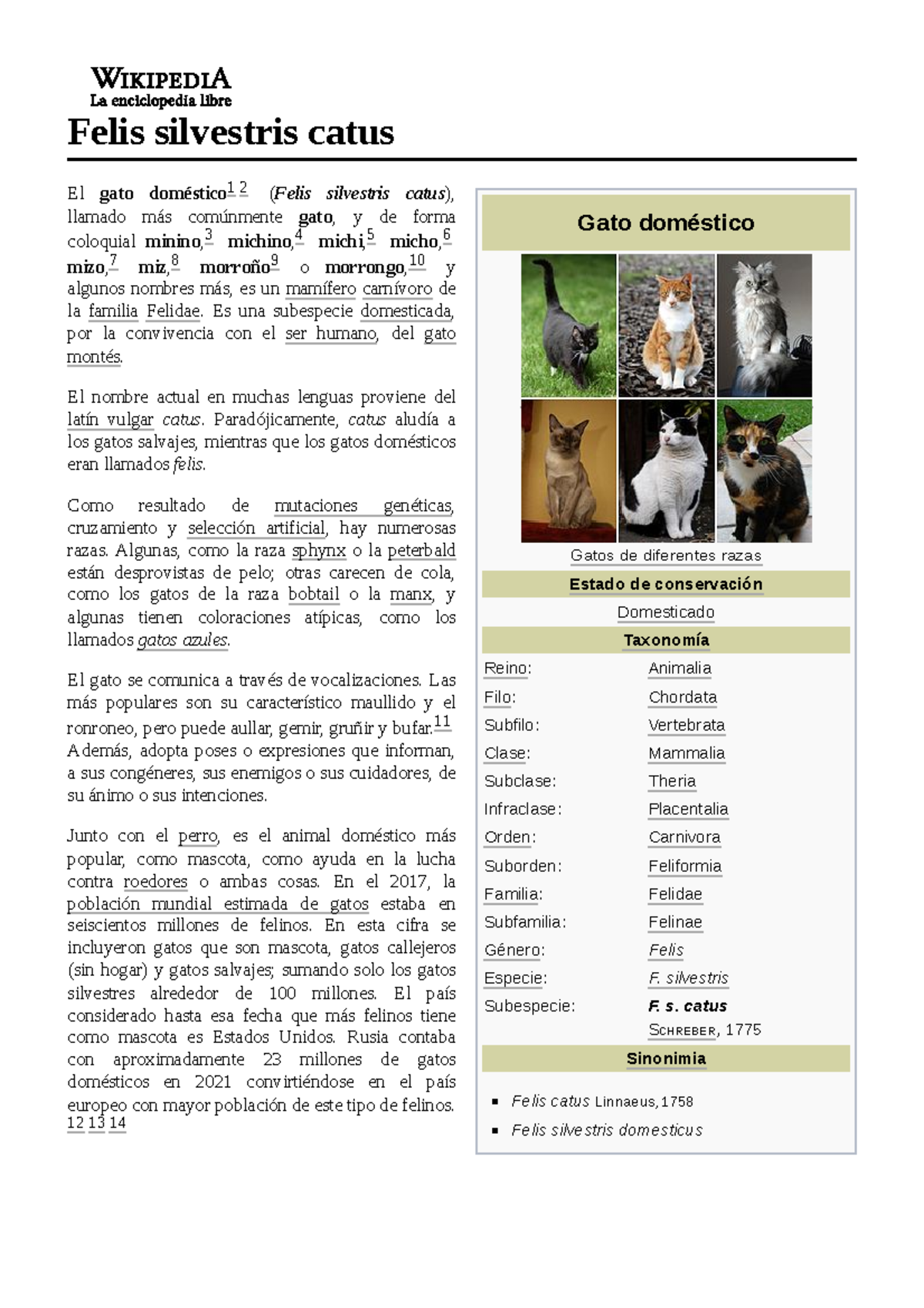 Felis silvestris catus - Gato doméstico Gatos de diferentes razas ...