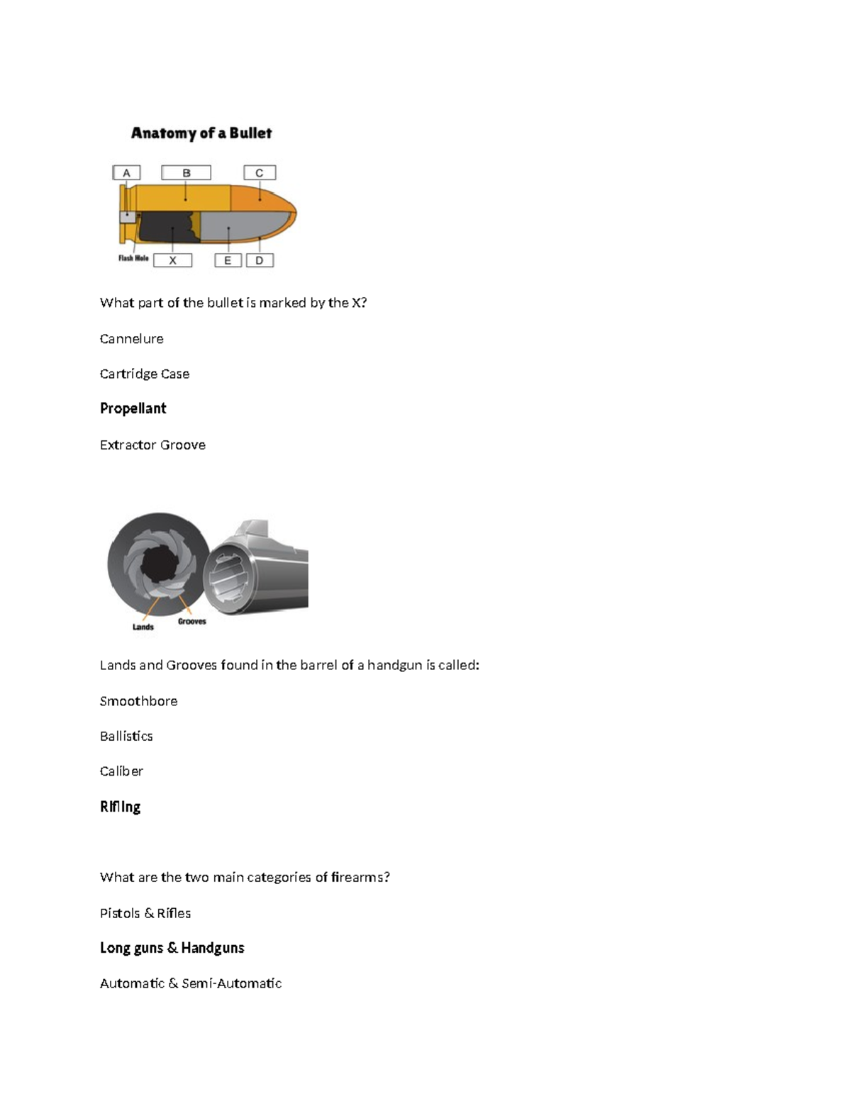 What part of the bullet is marked by the X - What part of the bullet is ...