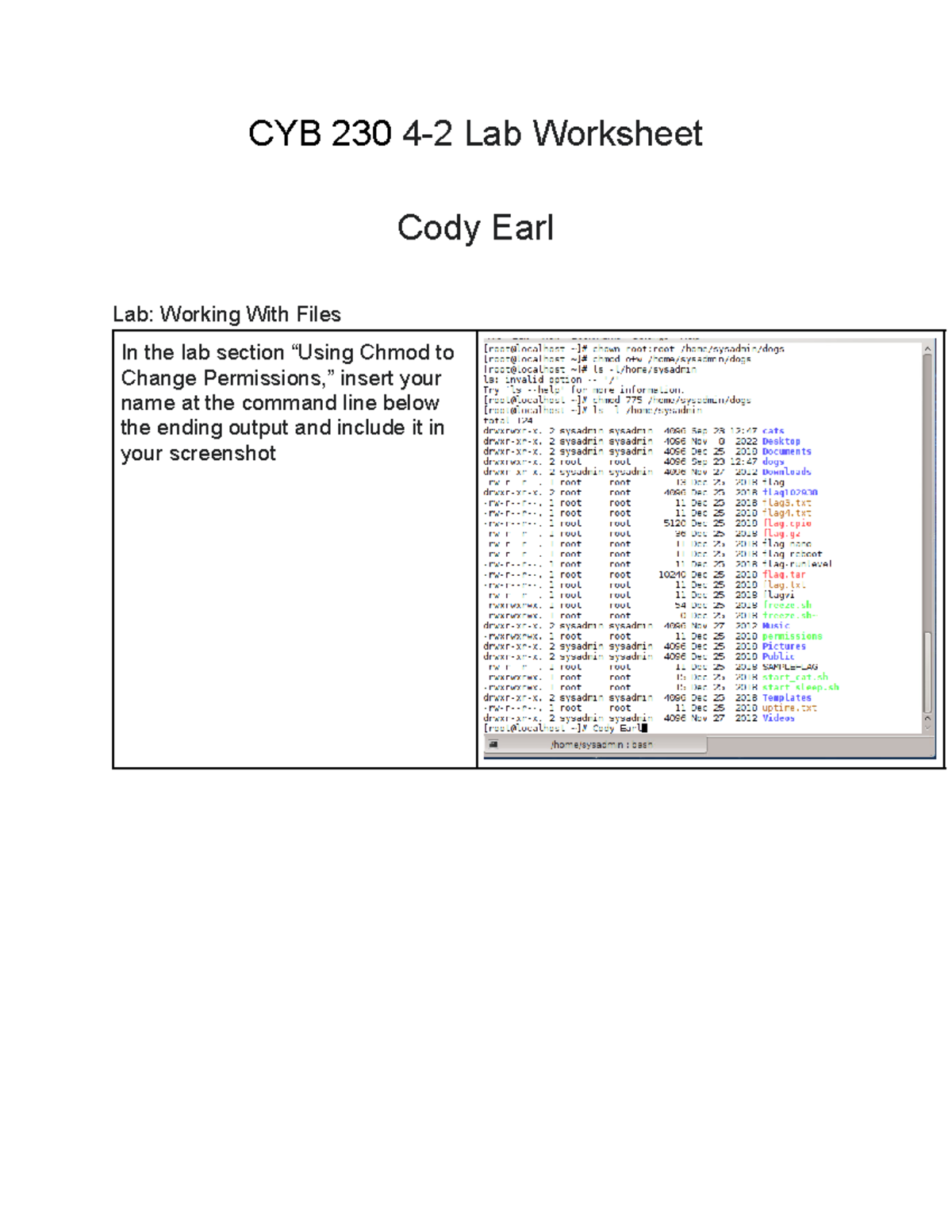 CYB 230 4-2 Lab Worksheet - Cody Earl - CYB 230 4-2 Lab Worksheet Cody ...