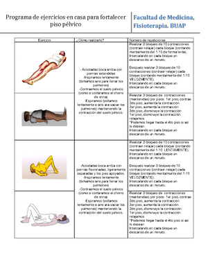 La fisioterapia en los sistemas de salud marco teórico y fundamentos para una práctica integral ...