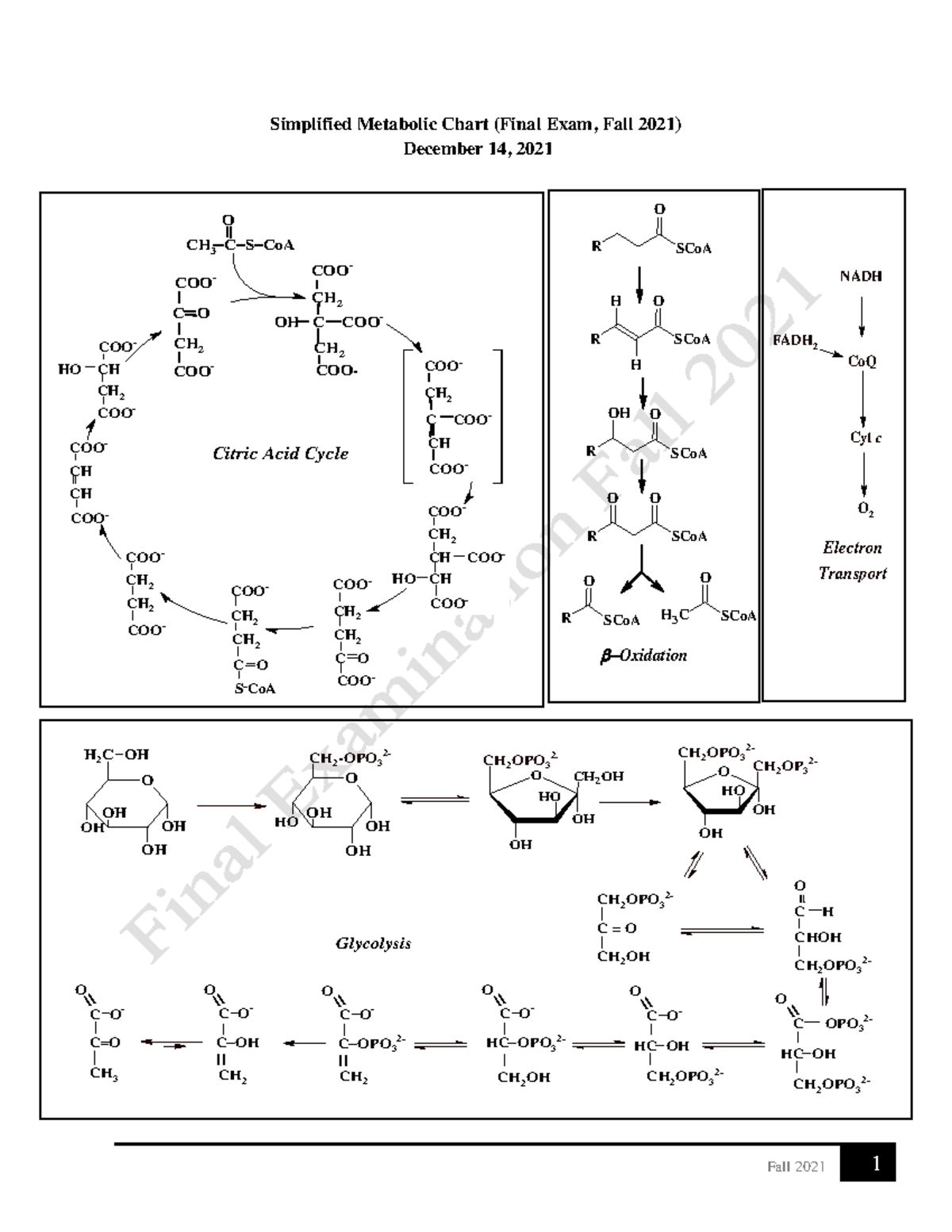 Metabolic Chart Biochem 2580 - Fall 2021 1 Simplified Metabolic Chart ...