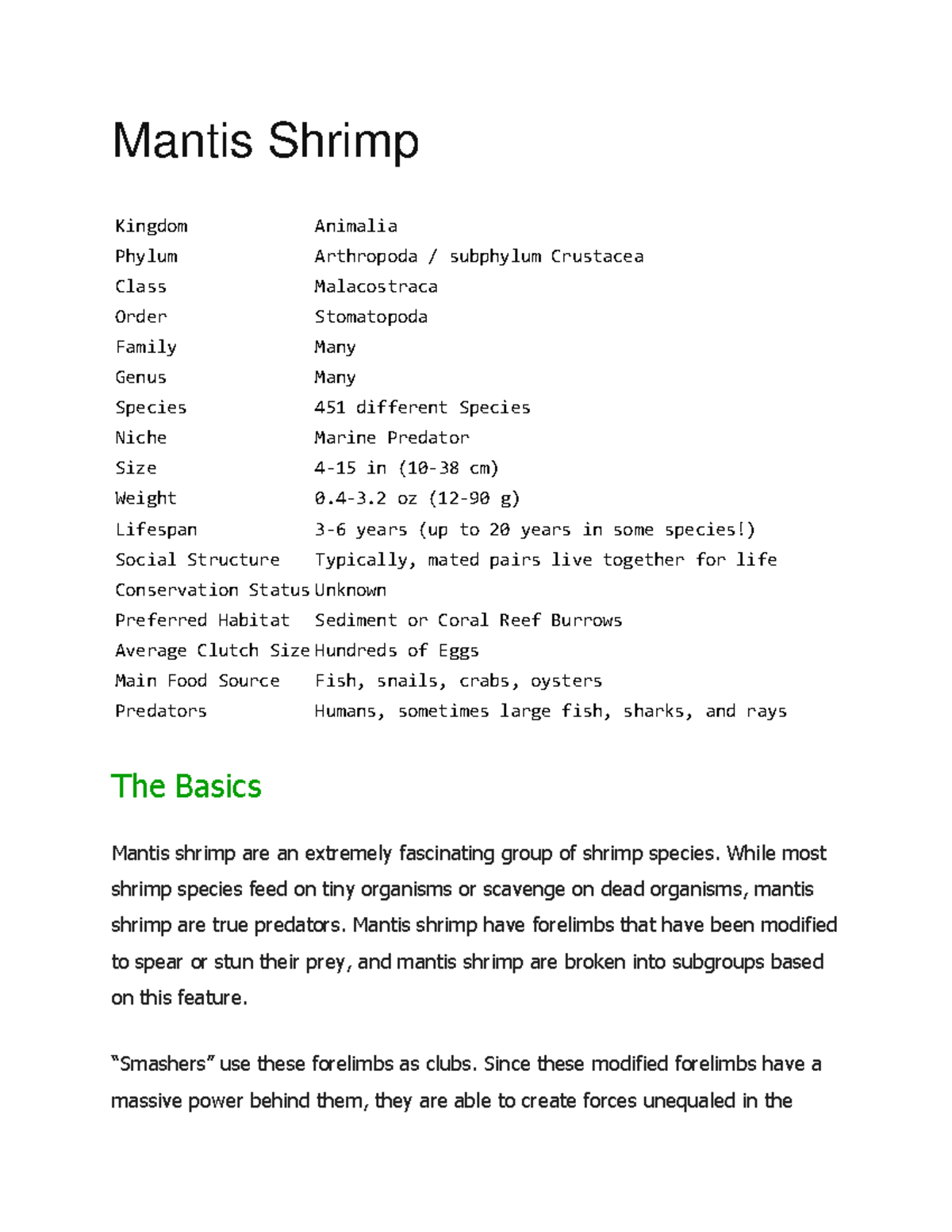 Mantis Shrimp - Mantis Shrimp Kingdom Animalia Phylum Arthropoda ...