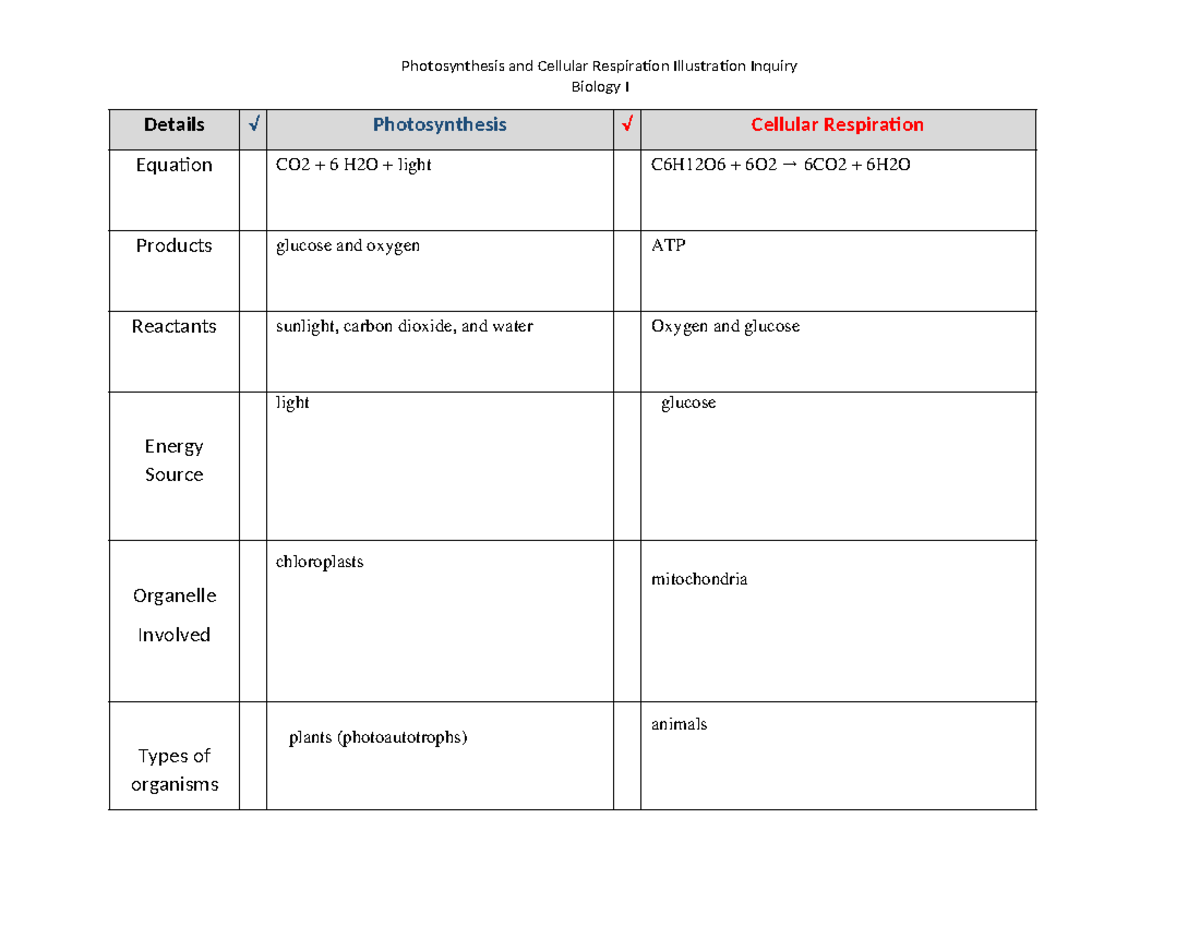 Photosynthesisand Cellular Respiration Illustration Inquiry - BSC2010 ...