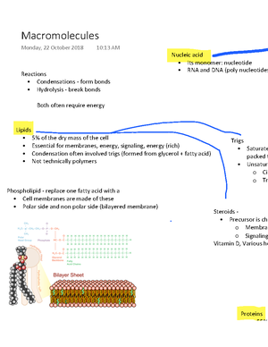 Unit 5 AP Biology - Unit overview of entire unit - Unit 5 AP Biology ...
