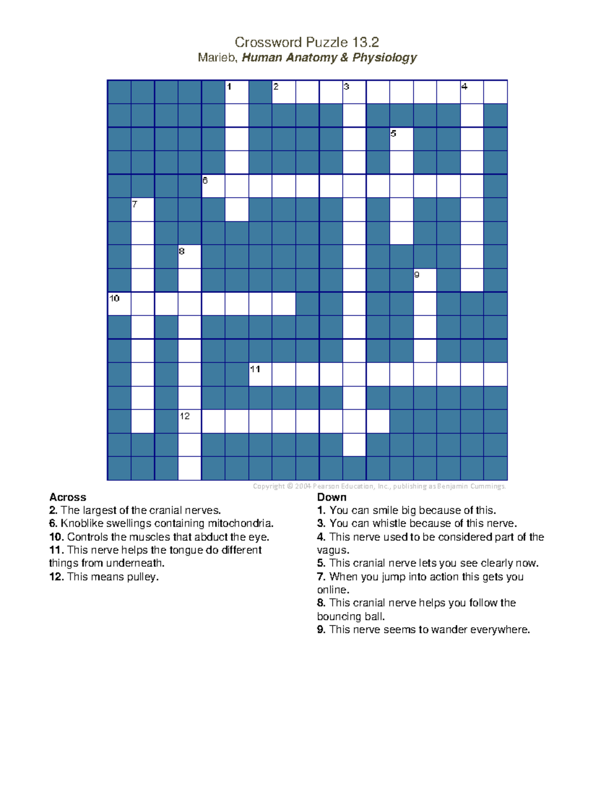 Marieb-hap11-ch13 - crossword - Crossword Puzzle 13. Marieb, Human ...